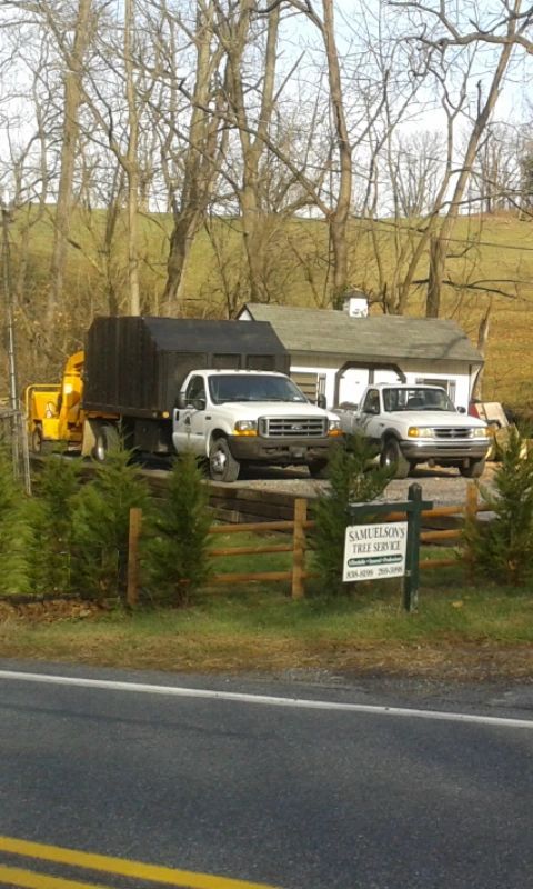 Samuelson's Tree Service - Tree Service, Tree Removal
