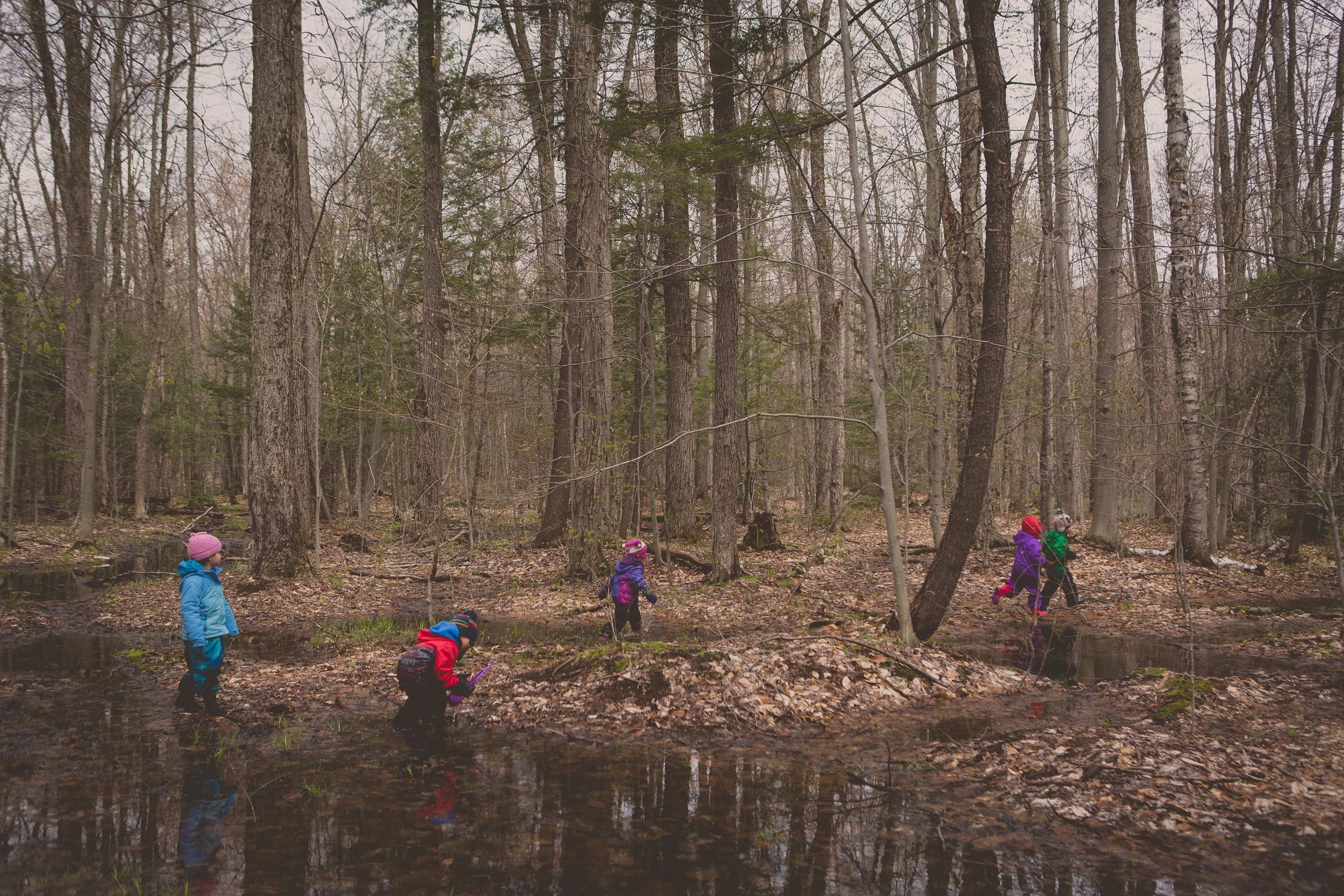 Wild Roots Nature and Forest School