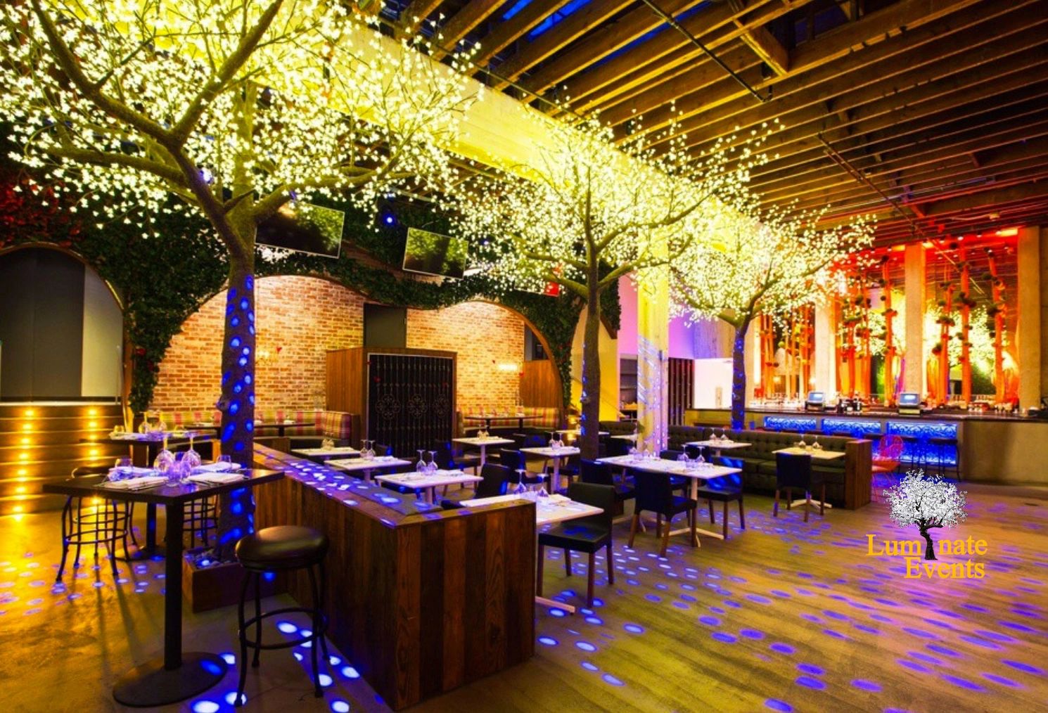 Luminate Events - Lit Trees, Wedding & Event Rentals