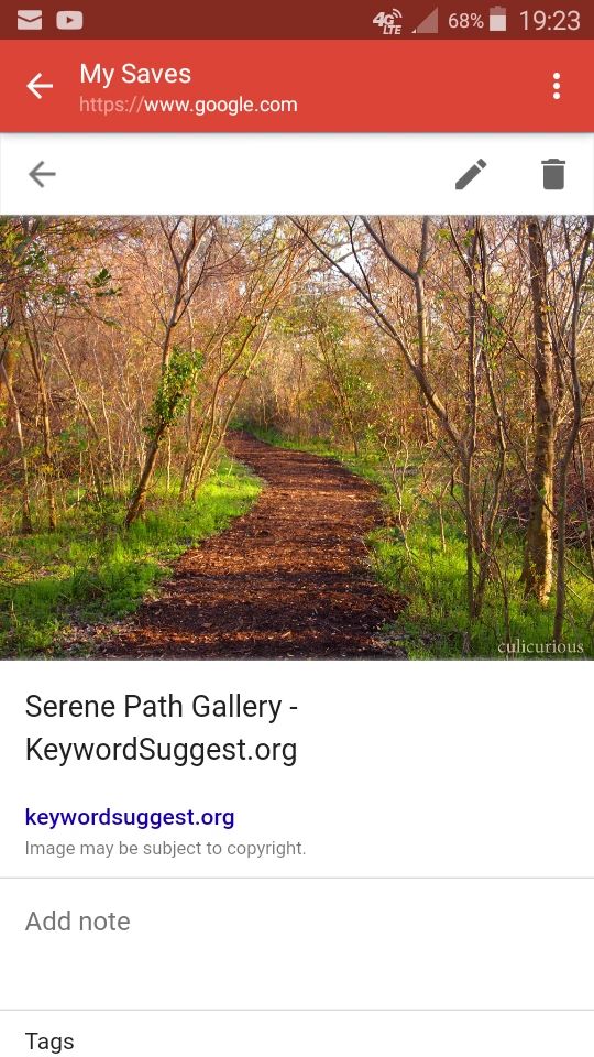Serene Pathways Counseling