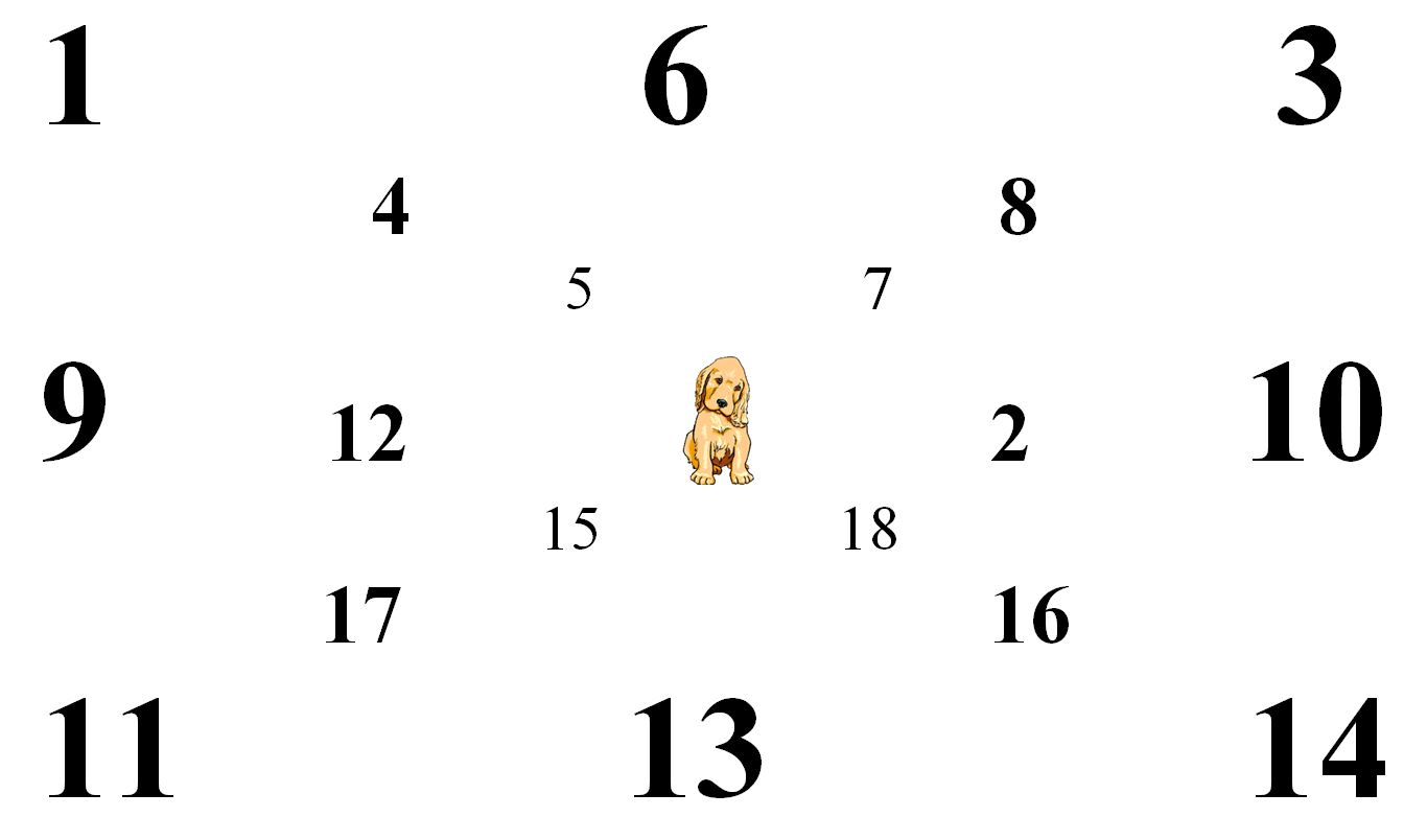 Resources & Downloads