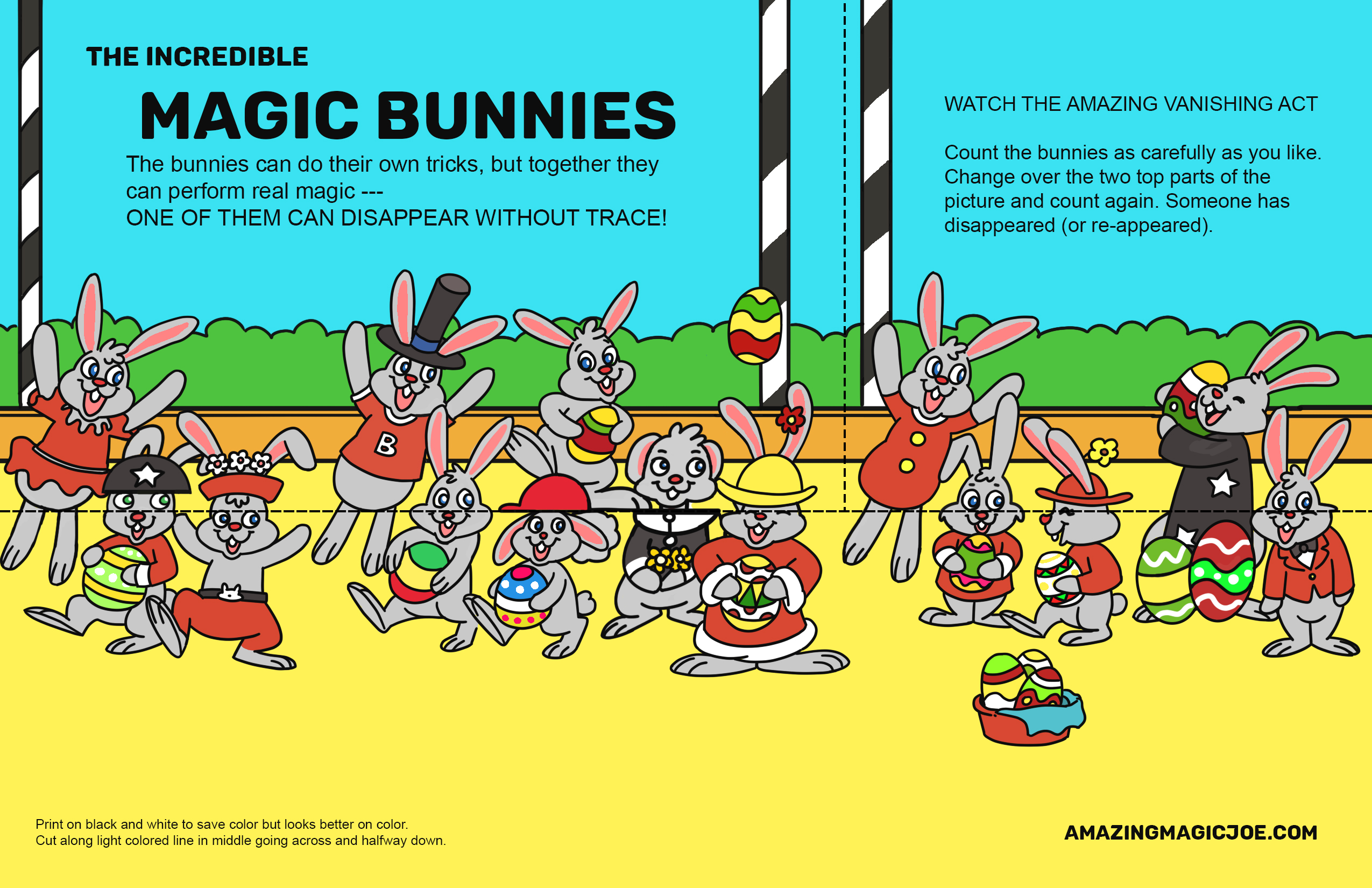 Amazing Magic Joe - Family, Entertainment