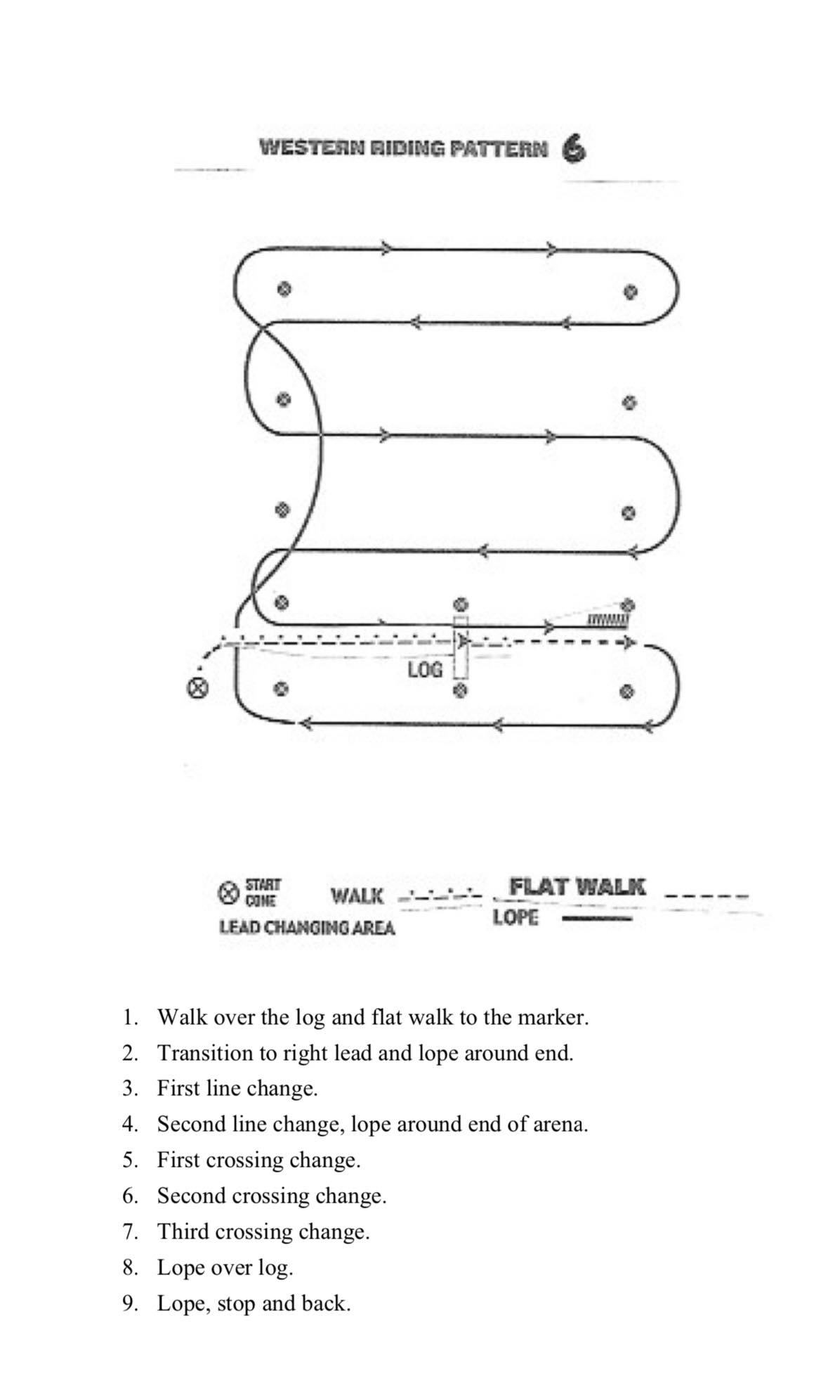 Horse Shows and Events