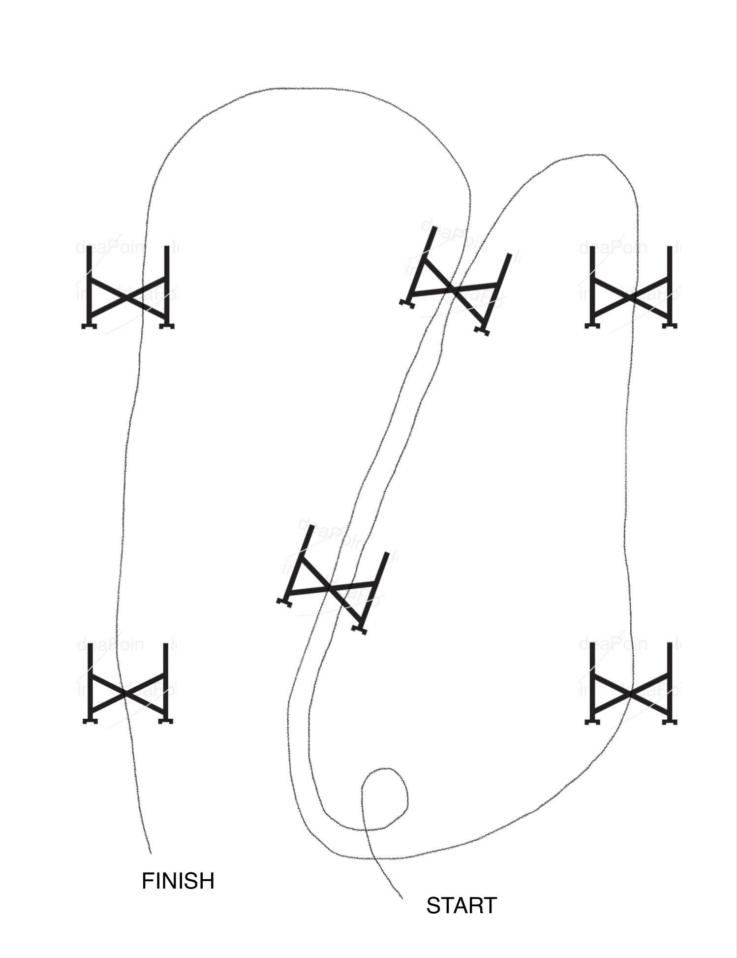 Horse Shows and Events