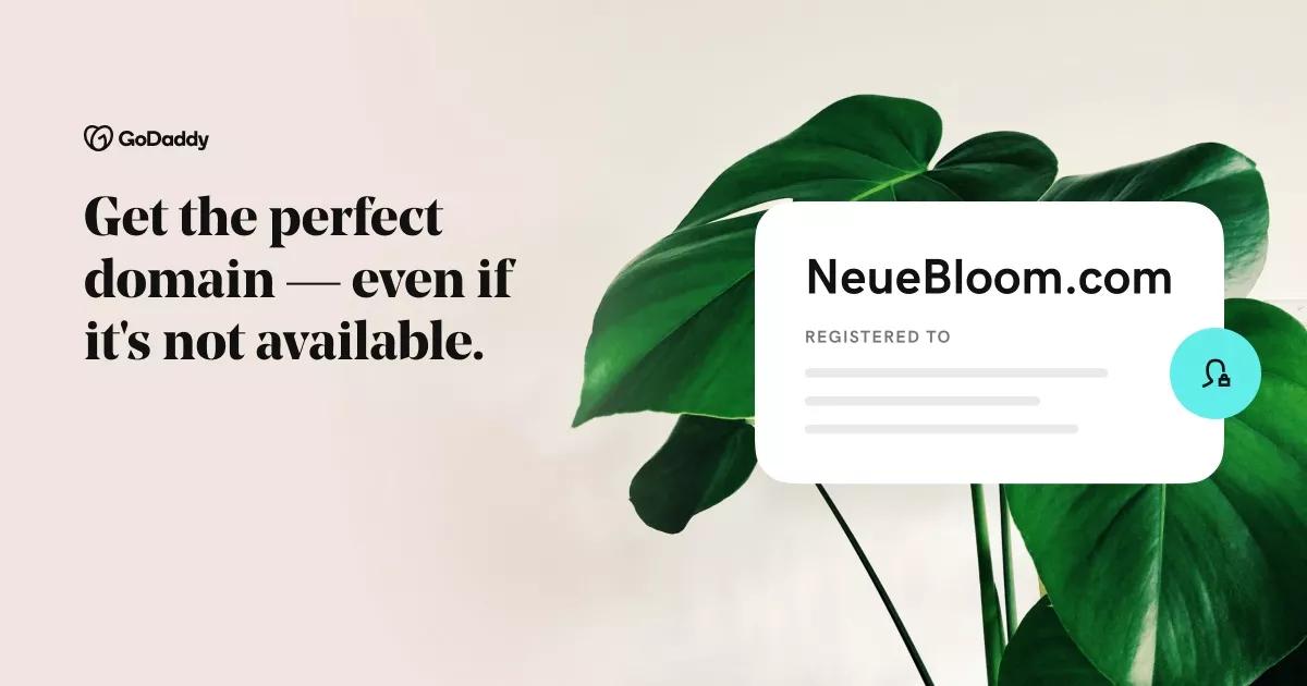 Domain Broker Service | Let our experts secure your domain GoDaddy