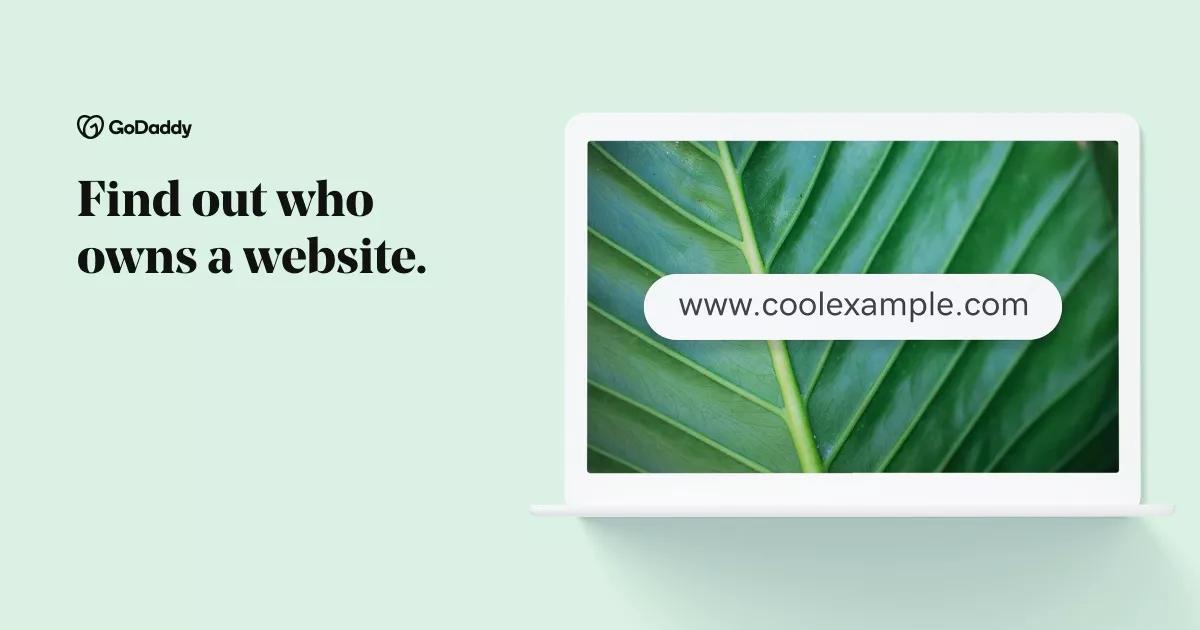 WHOIS Domain Lookup - Find out who owns a website - GoDaddy IN