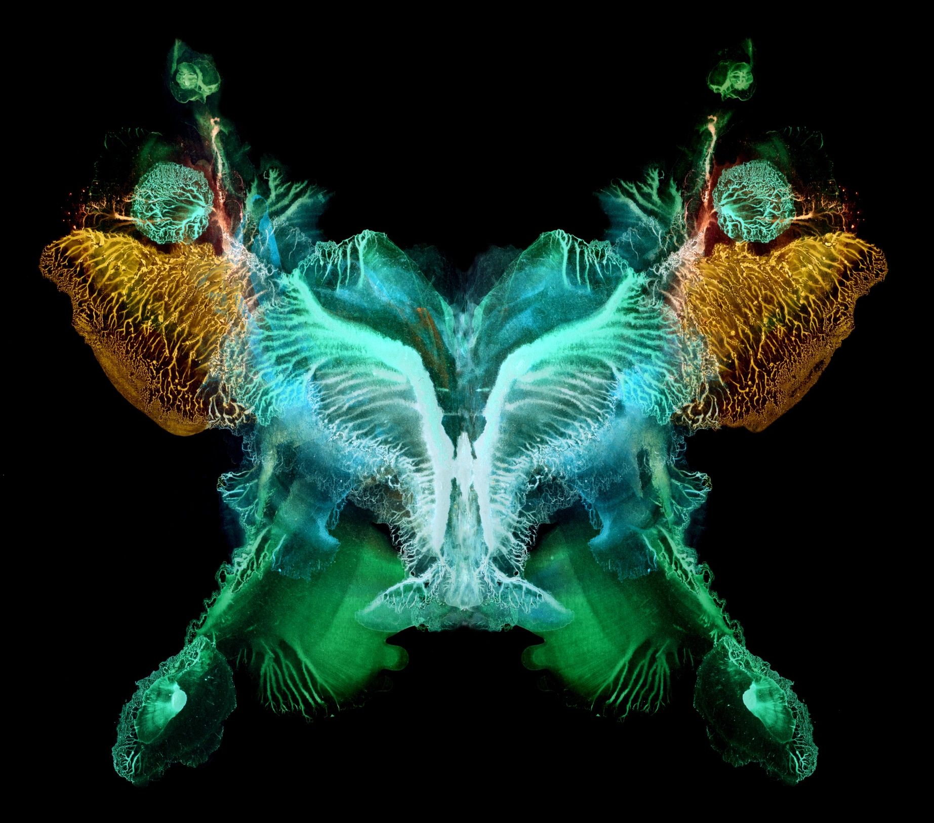 Intuitive Ink Blot Artist