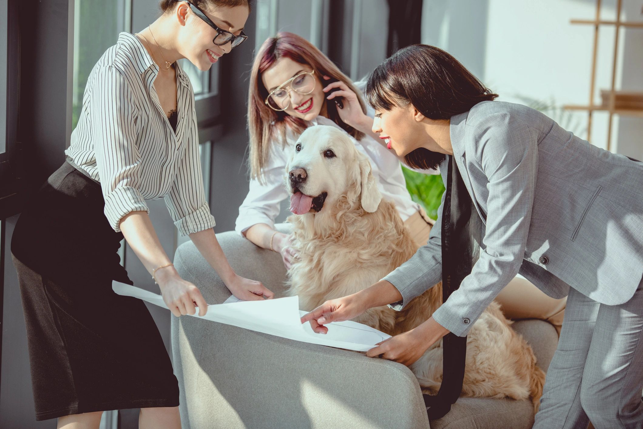 The Indigo Phoenix - Empowering Change