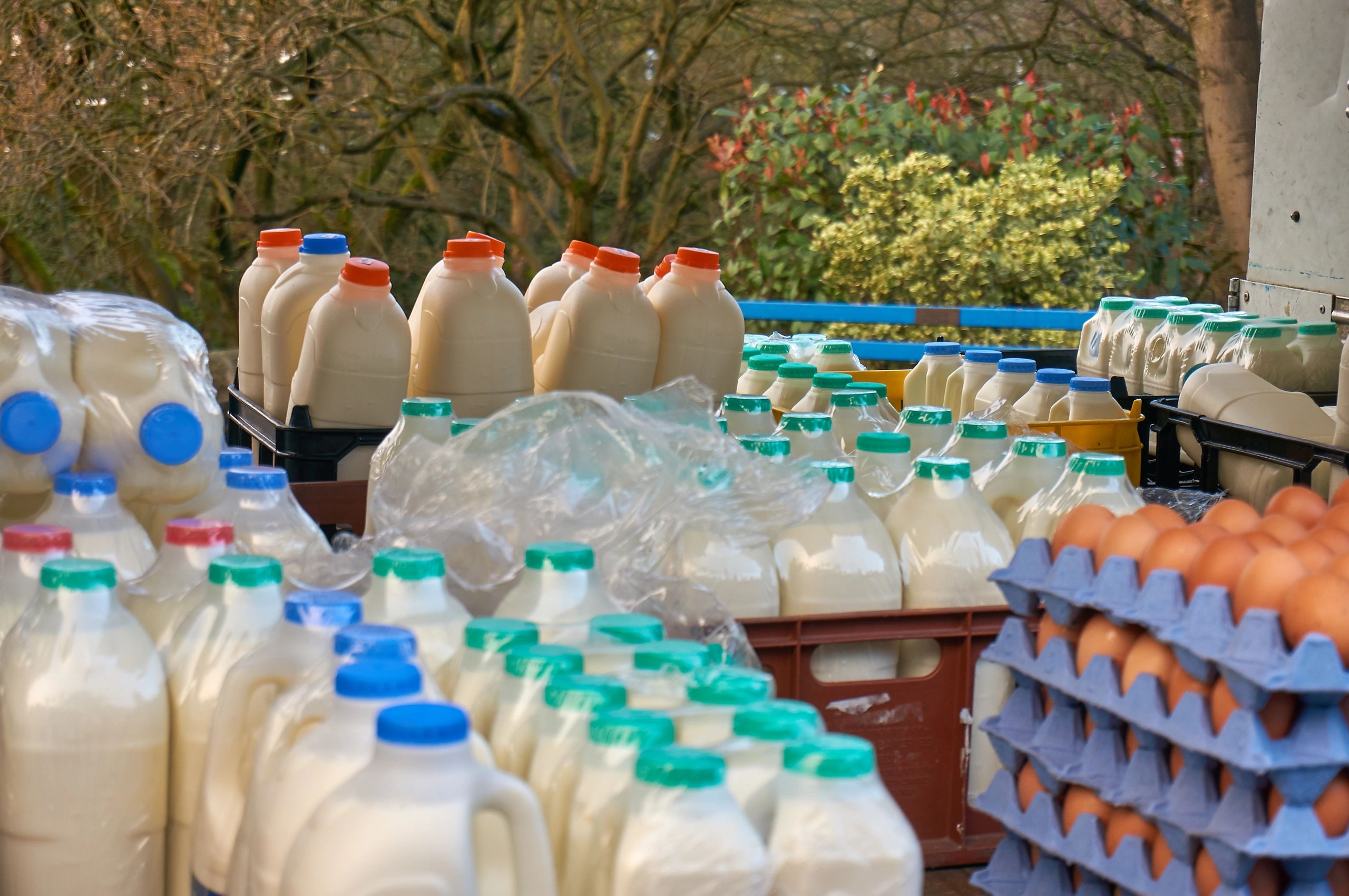 South West Milk Delivery Service | SMS Dairy