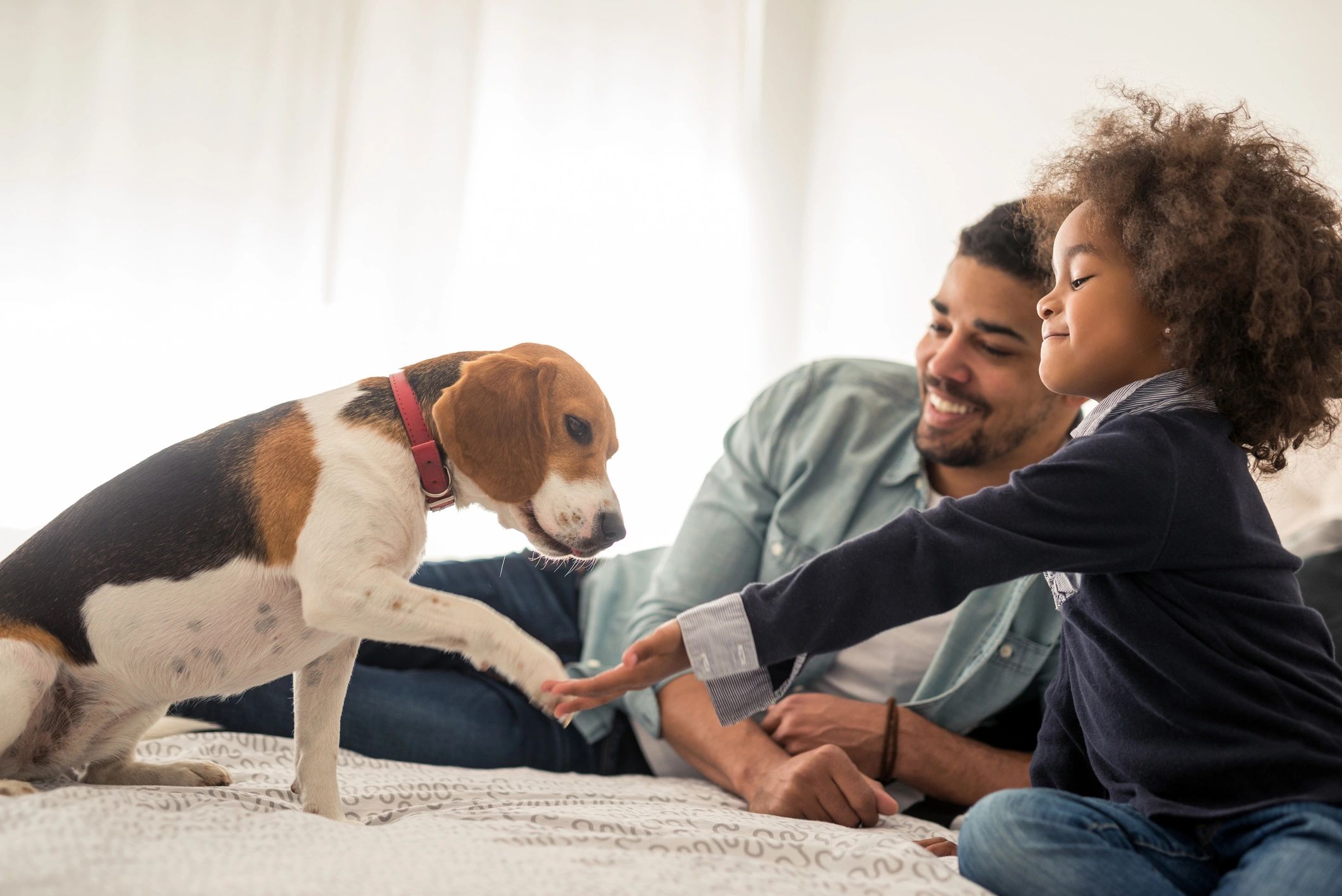 Standards of Adoption