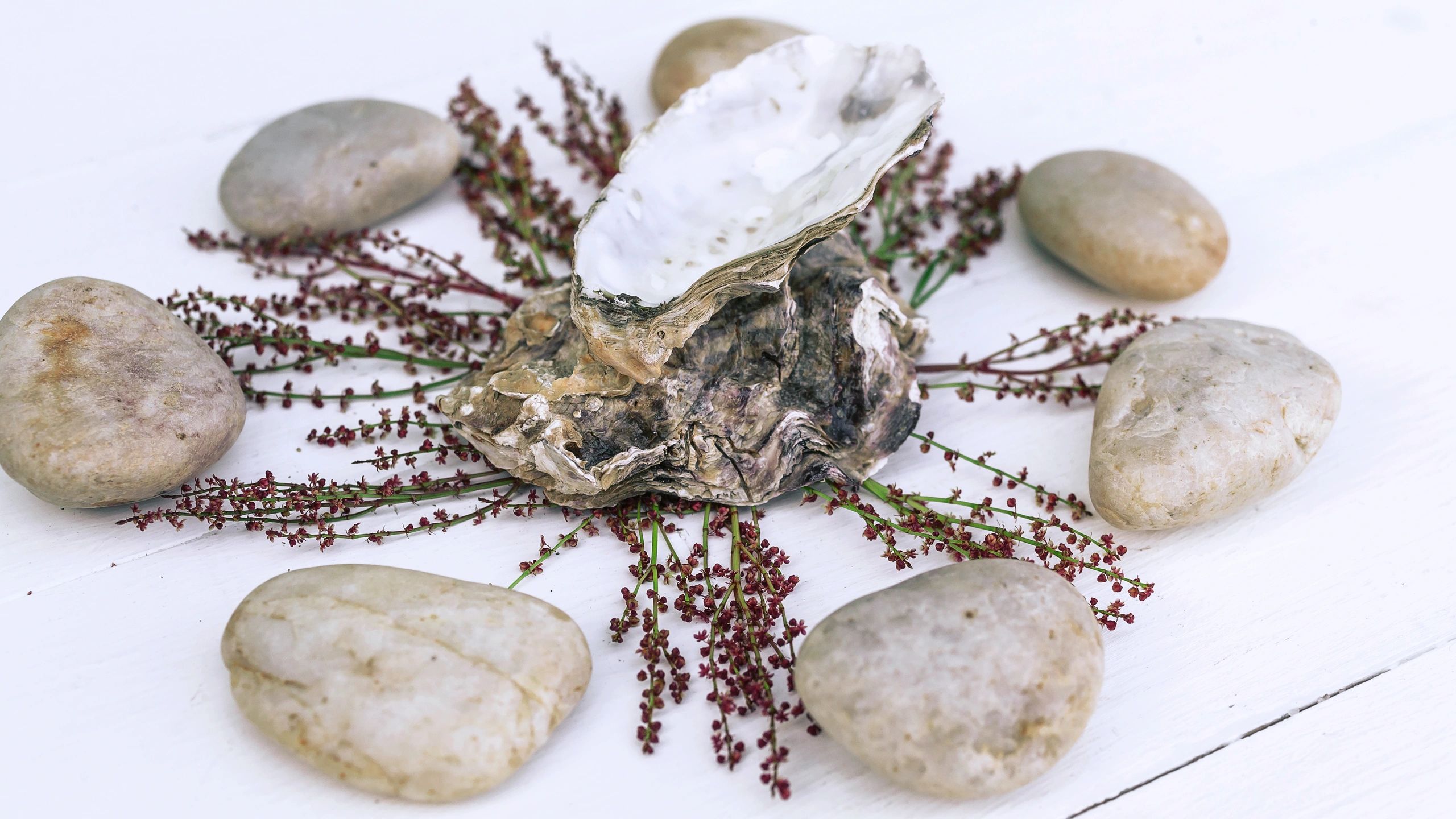 Unique Oyster Shell Art & Handcrafted Decor