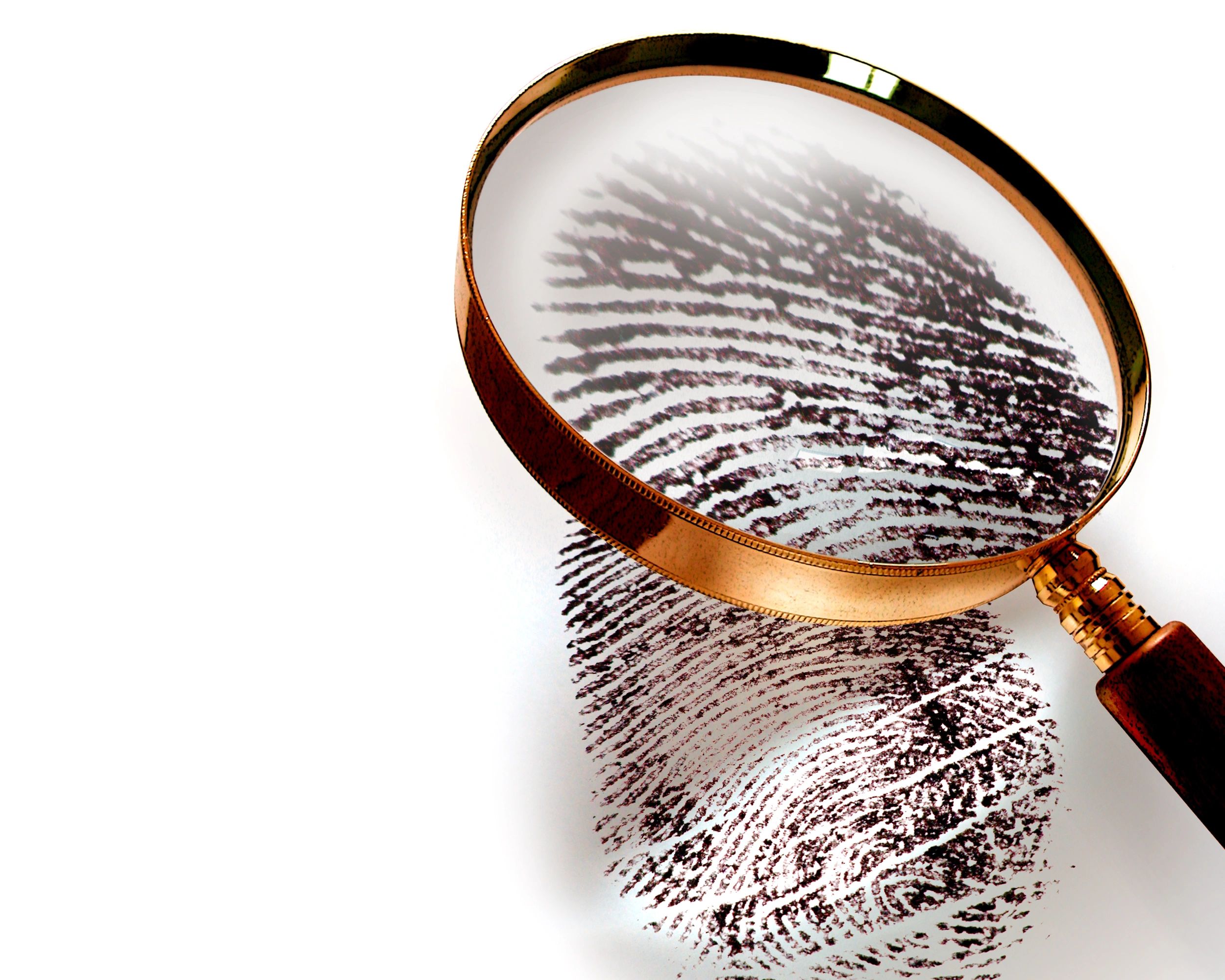 Services | Finger Prints