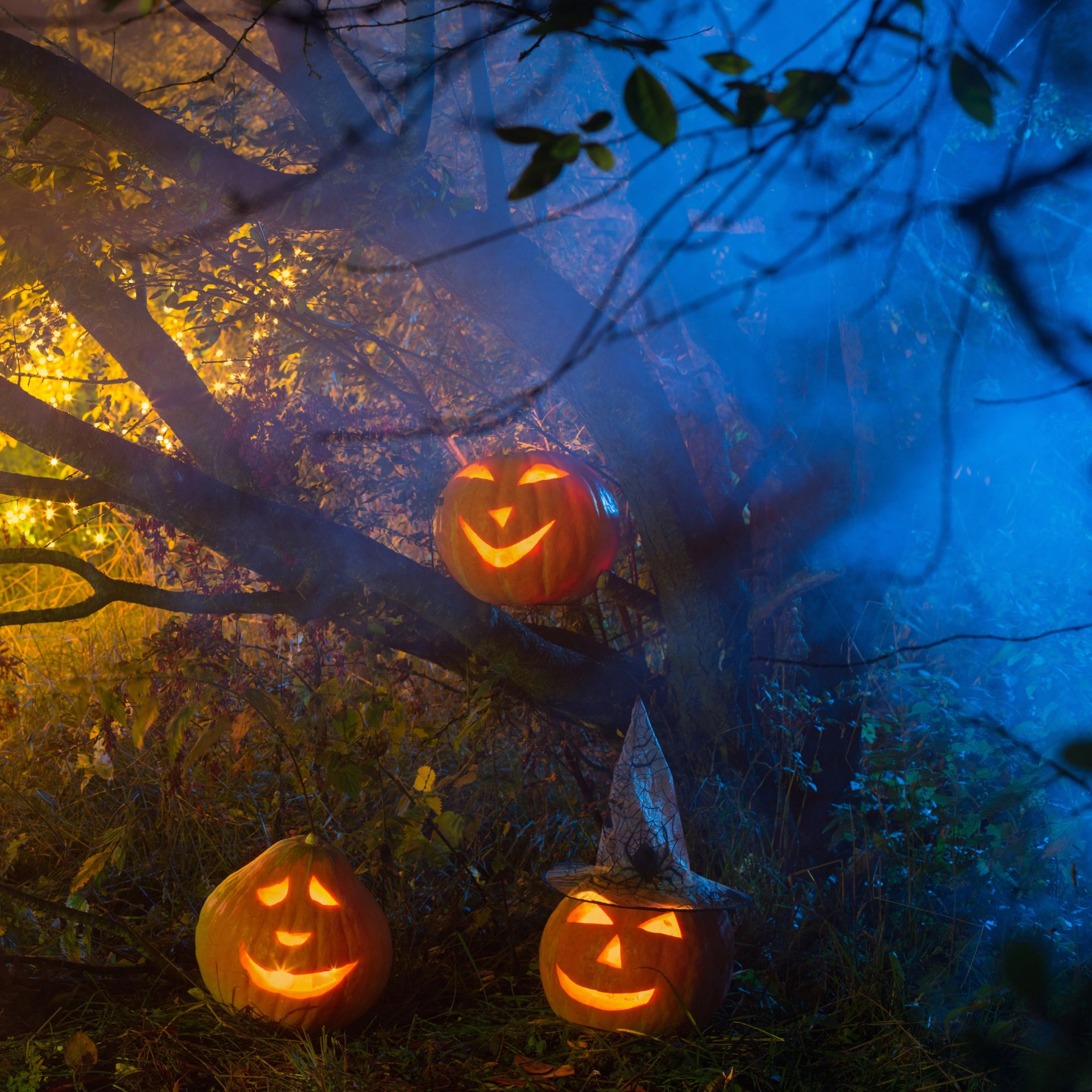 Haunted Forest Halloween Event: Spooky Thrills Await!