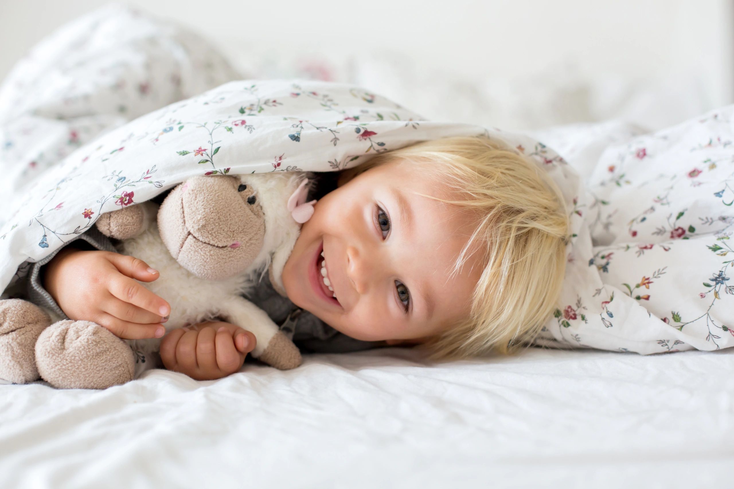 Join Project Linus Tucson: Comfort Through Blankets