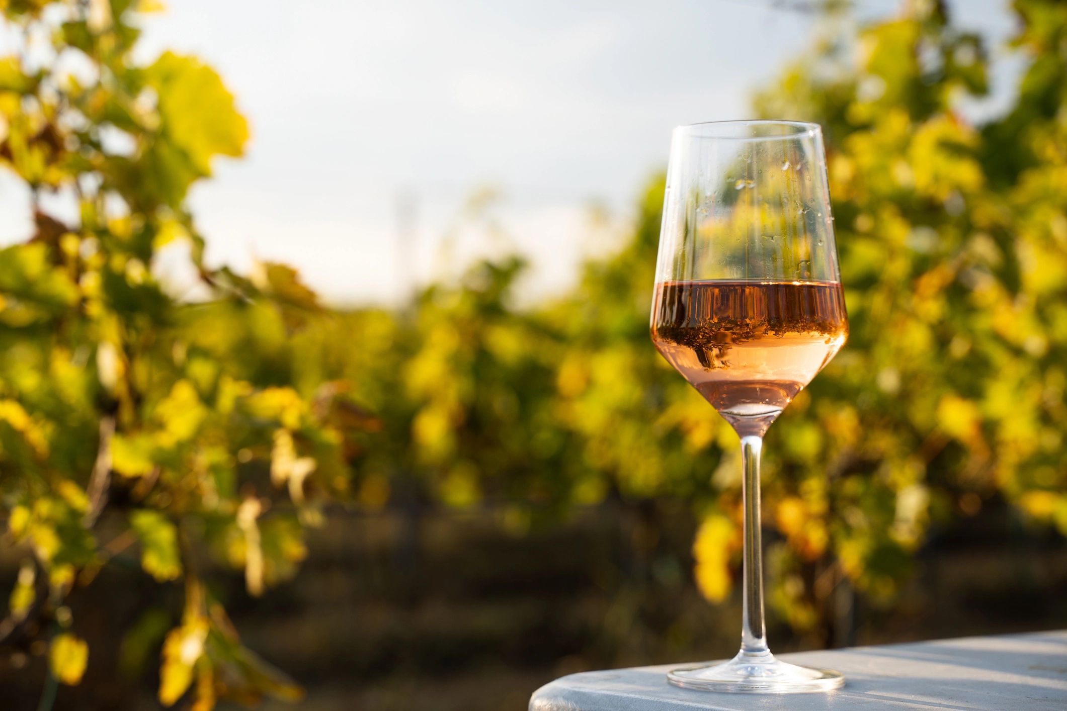 Rosé Winess