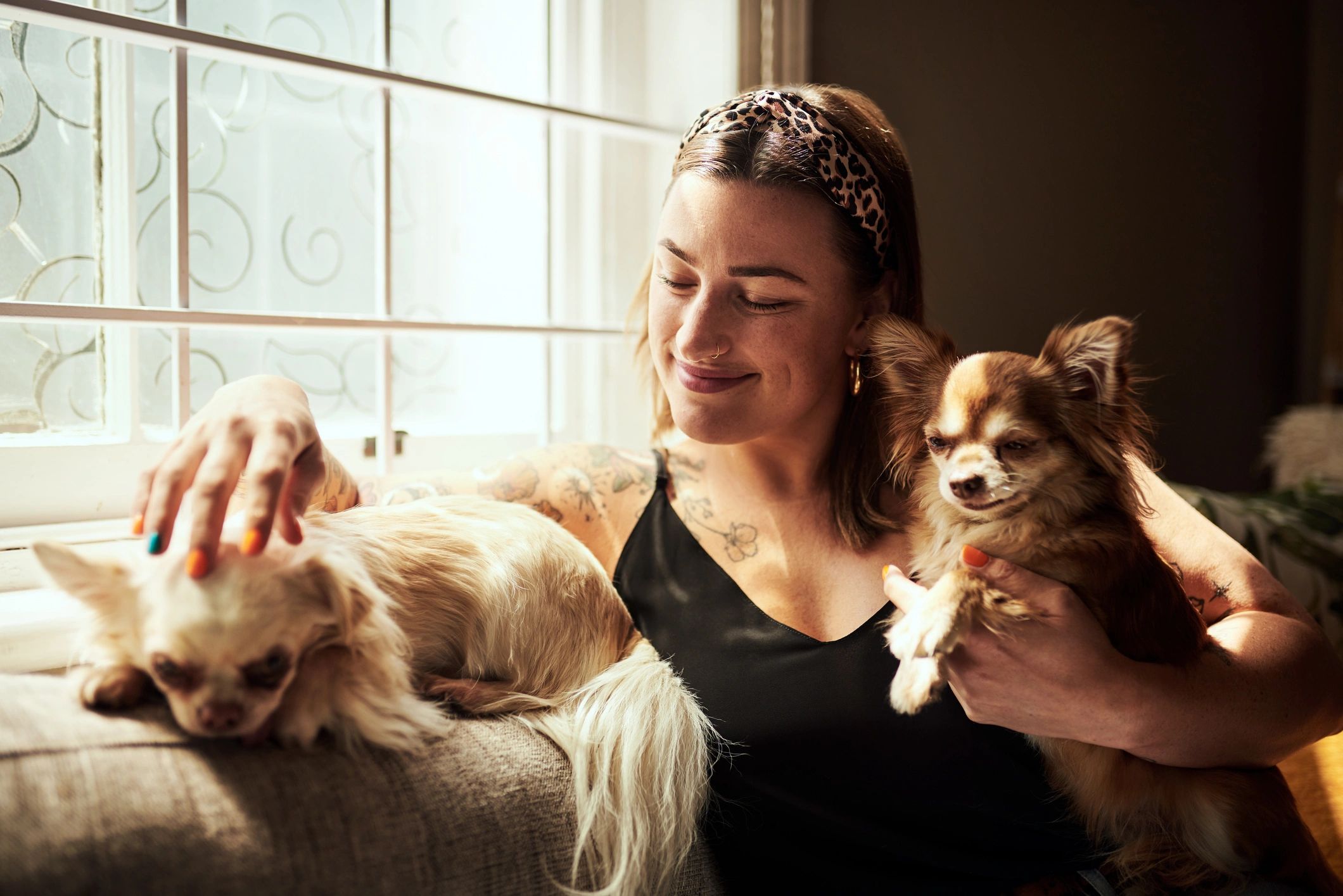 Clinique vétérinaire virtuelle Televet