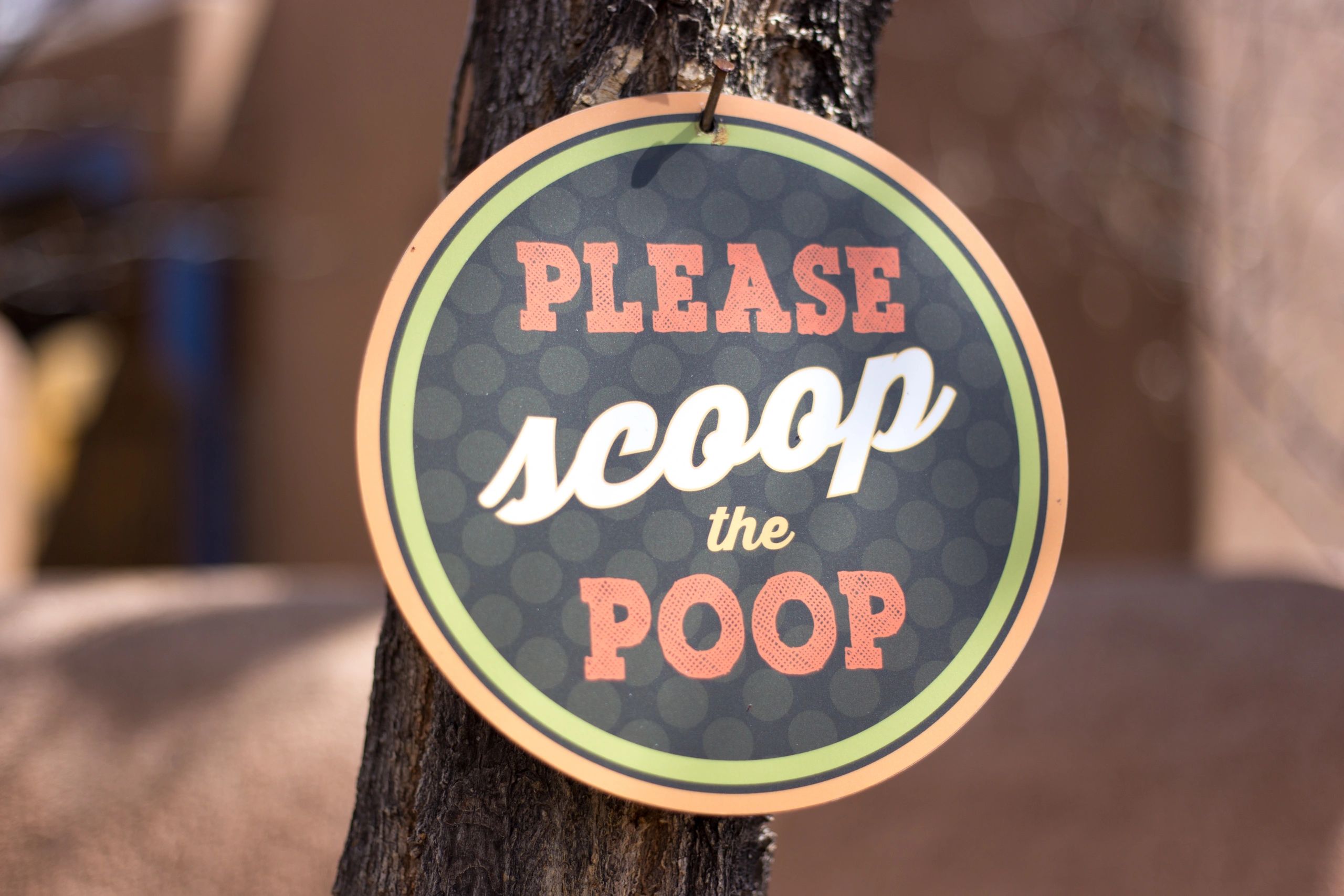 Professional Poop Scoop Service for Your Pets