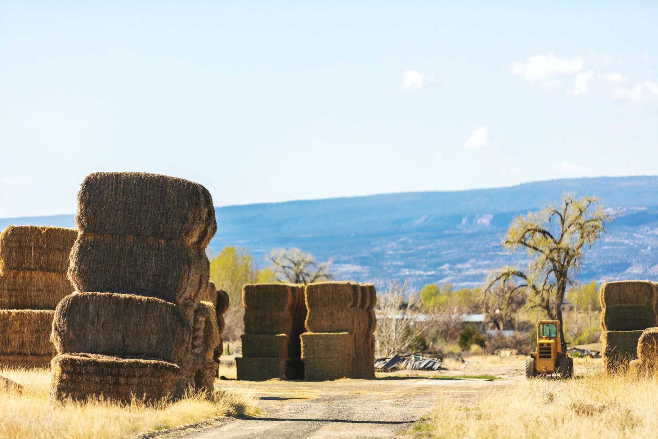 Quality Farm and Ranch Supplies for Agriculture