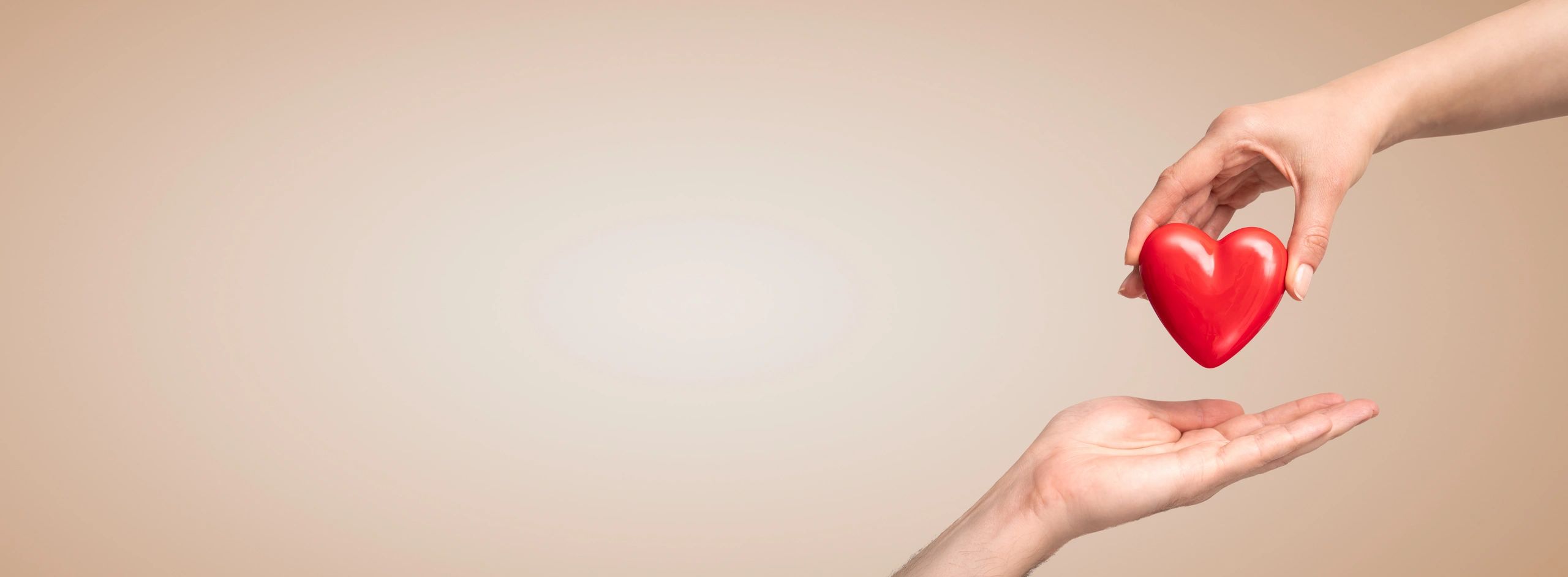 HOME [ultravioletgiving.com]