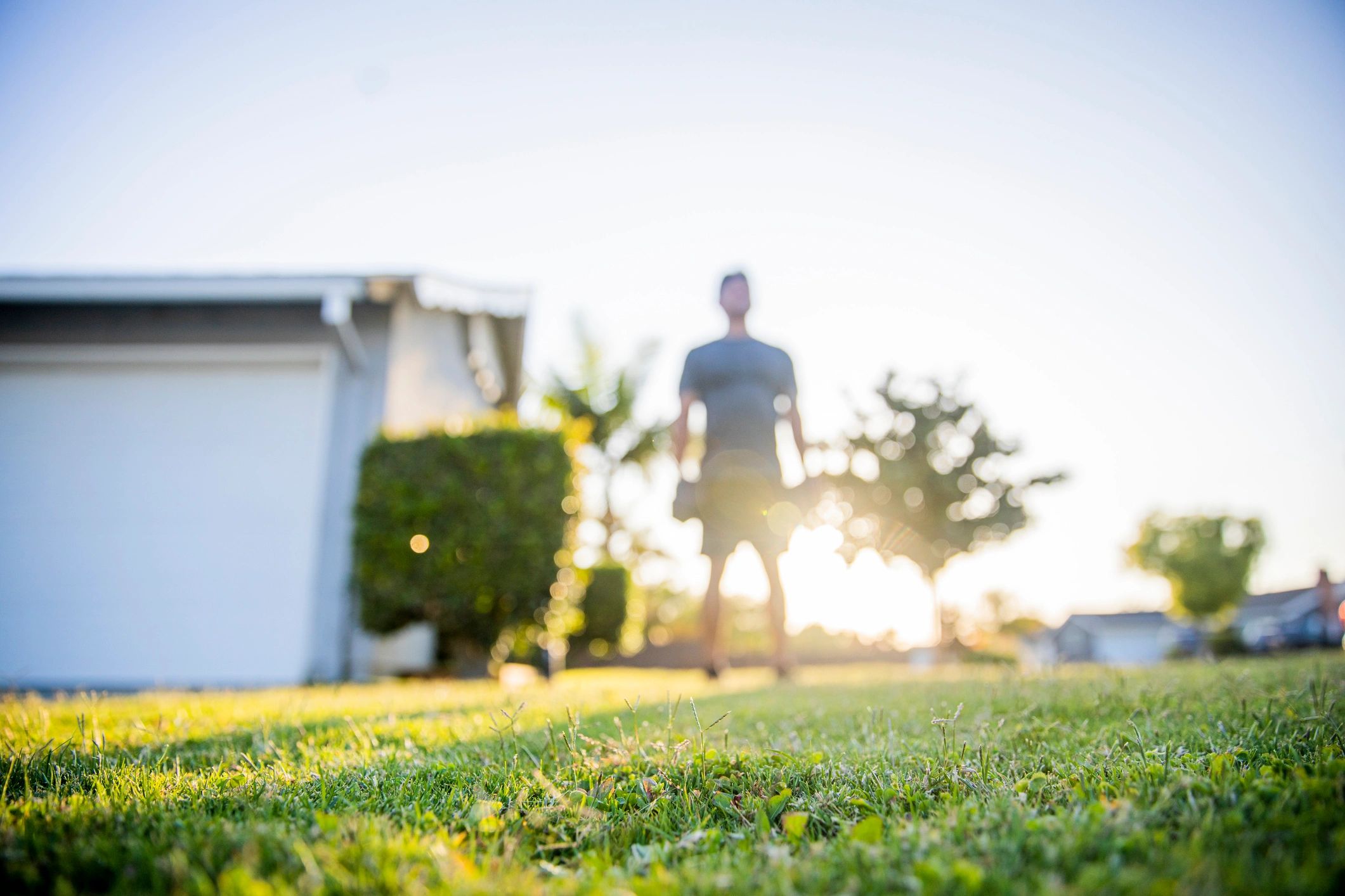 Custom Lawn Care - Professional Lawn Care, Complete Lawn Care, Lawn ...