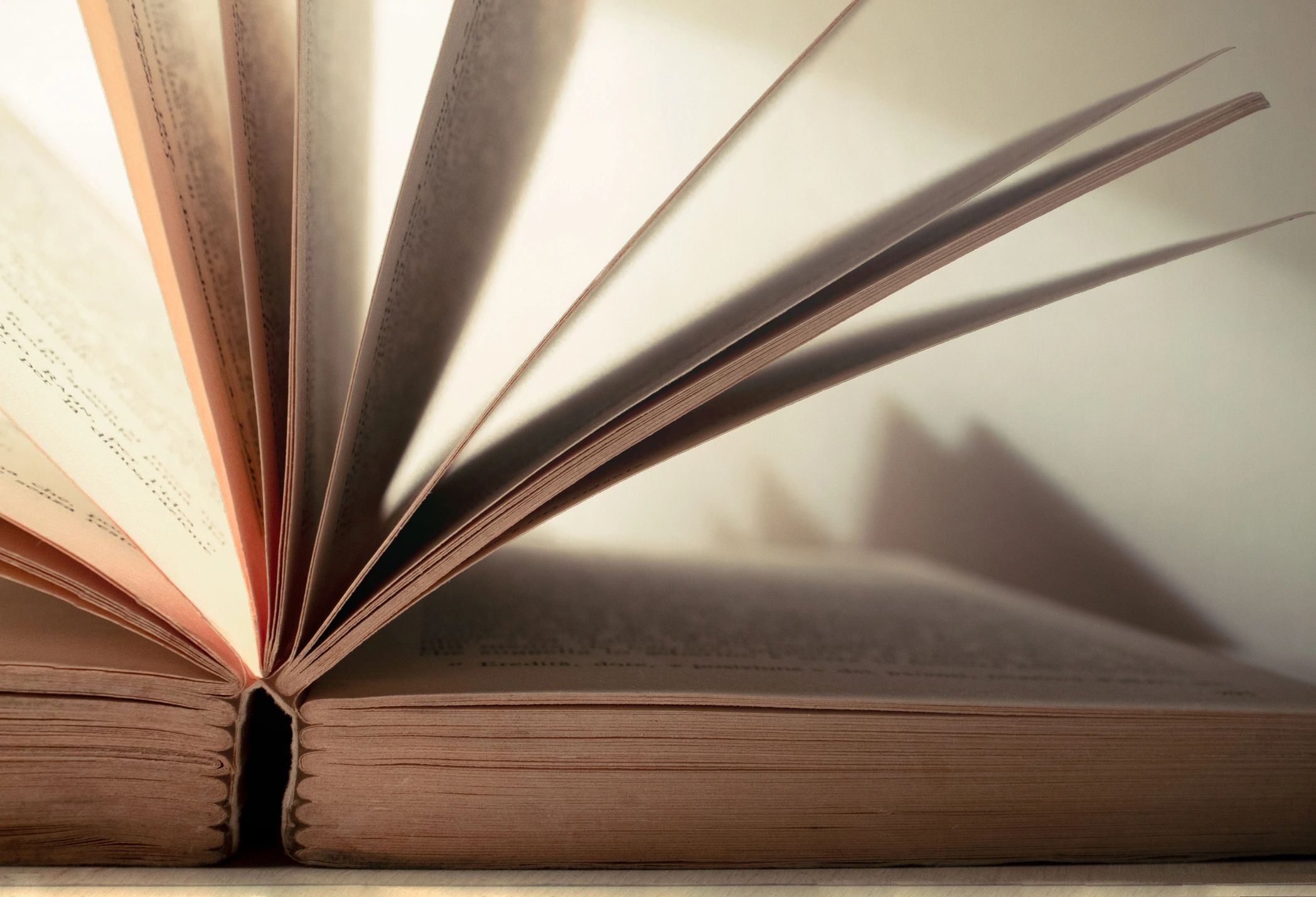 Rising Fantasy Romance Author| Jo Randall