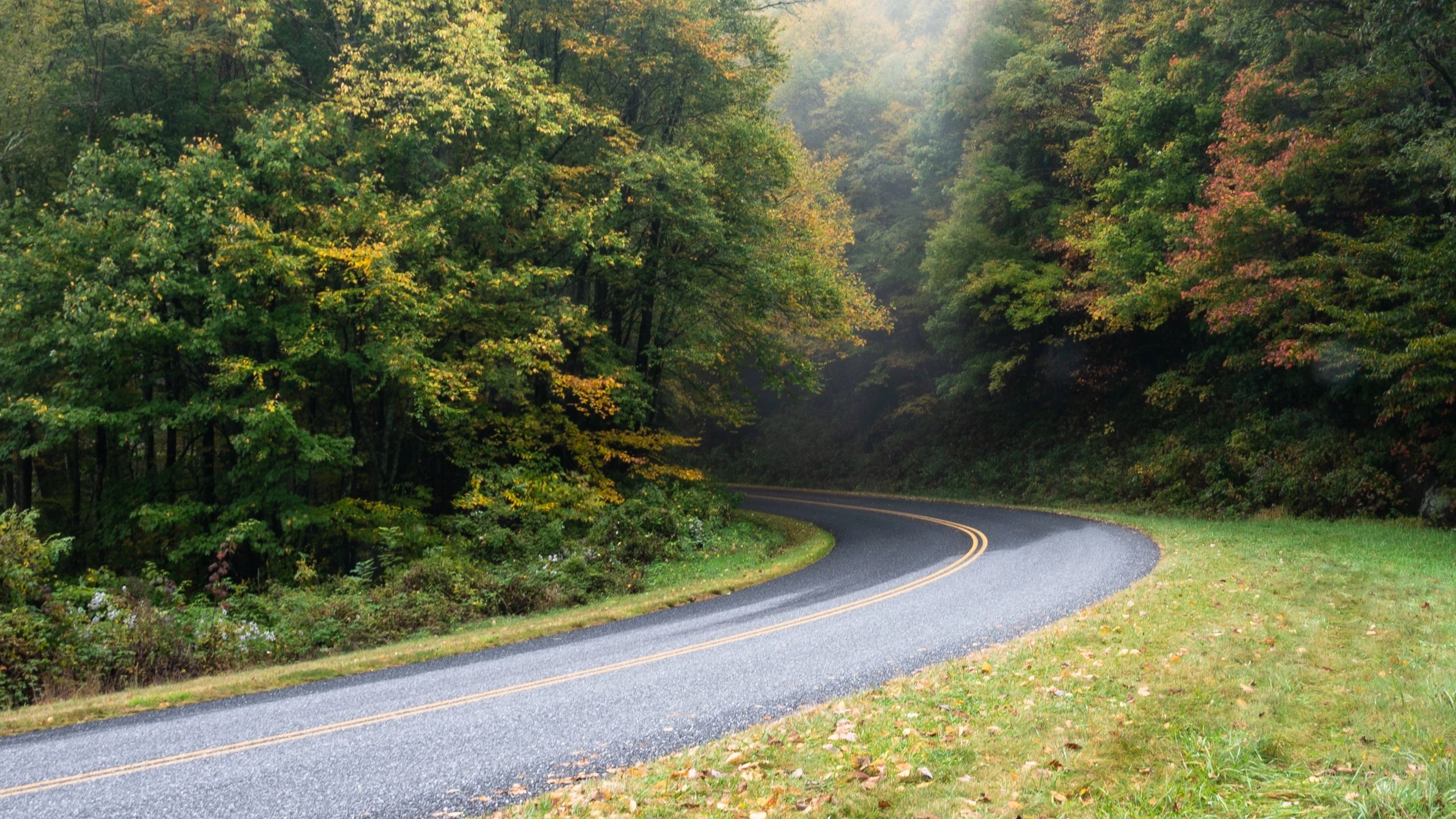 Zen, Drive & Thrive