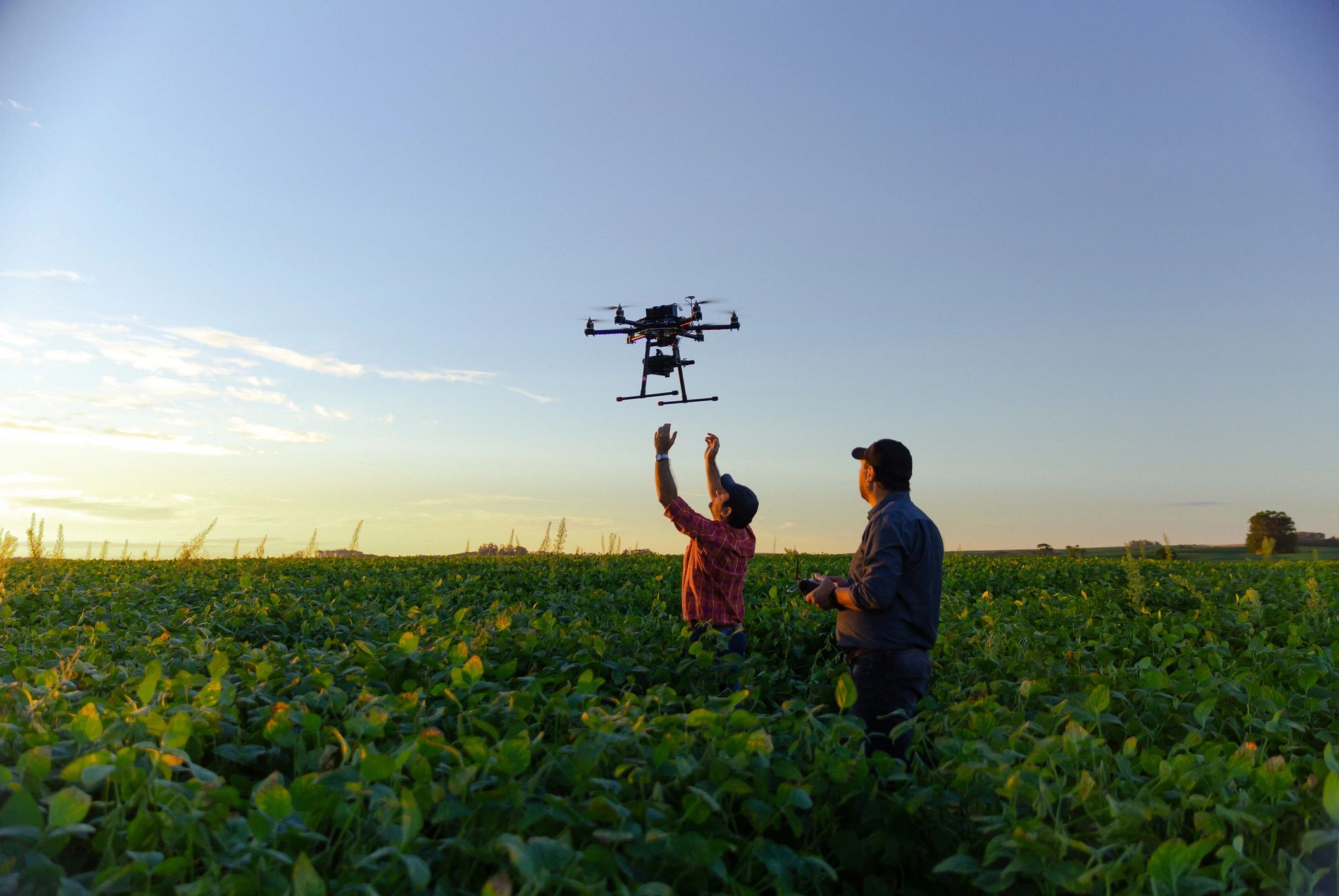 Fun Drones