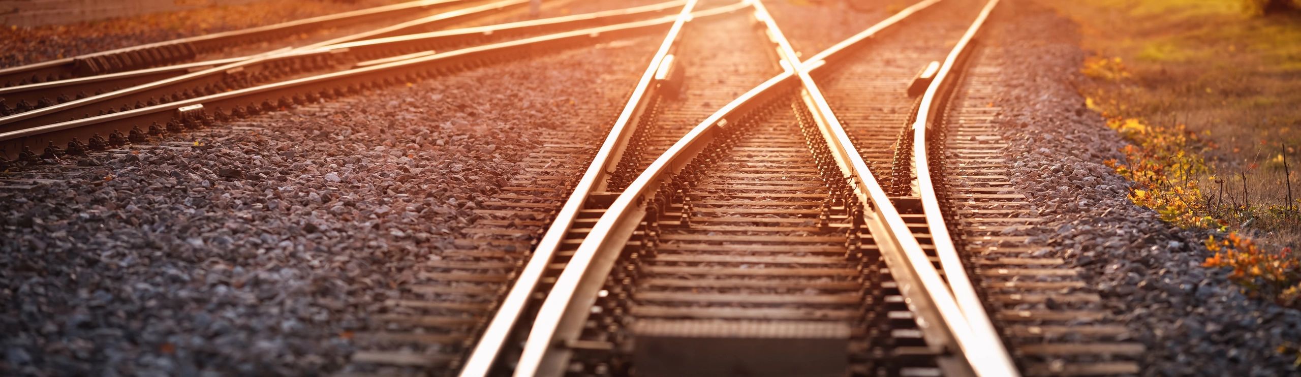 RISQS Consultancy - ProGuard Rail