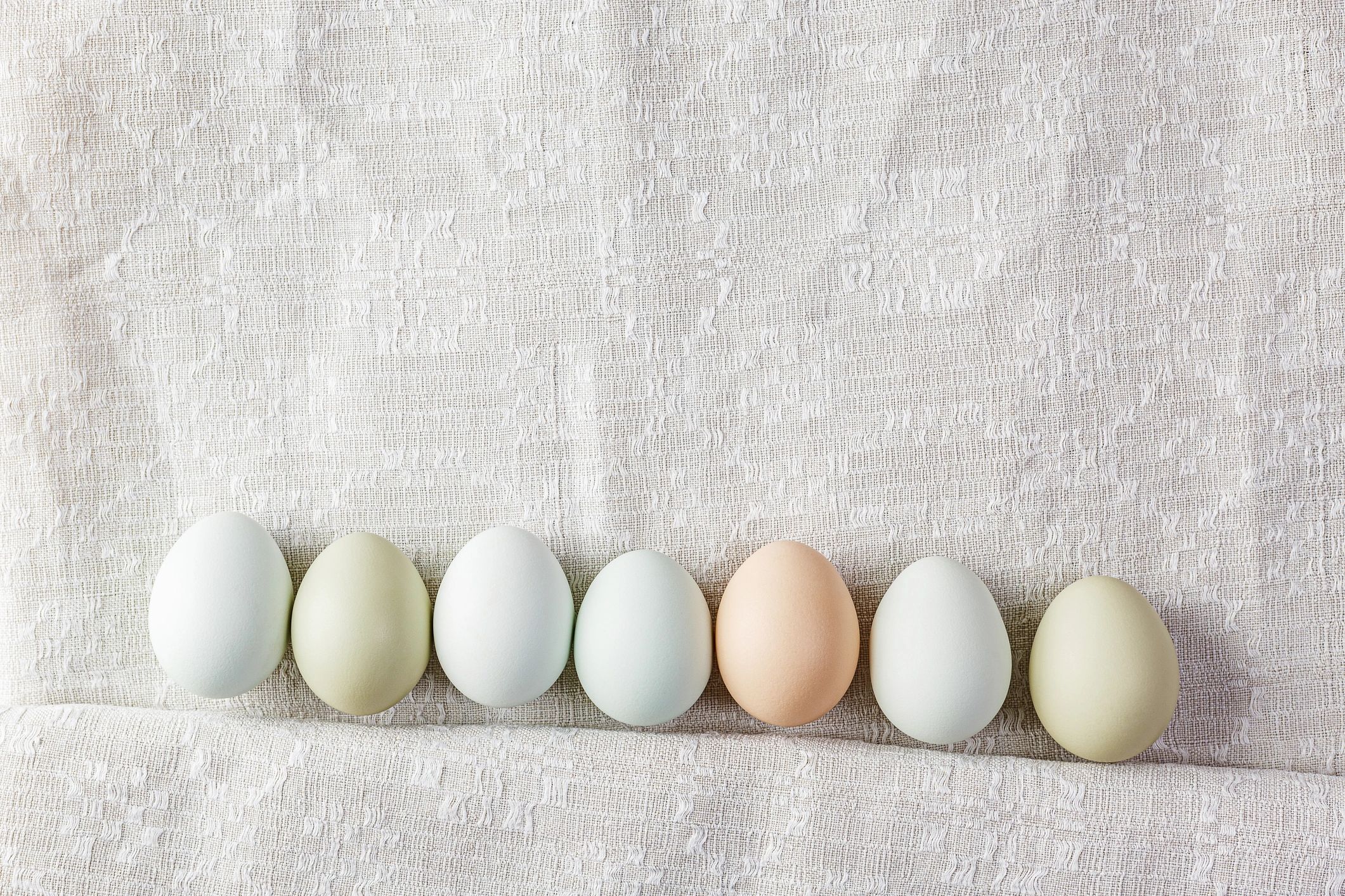 Am Eggs & RC Chicken Farm