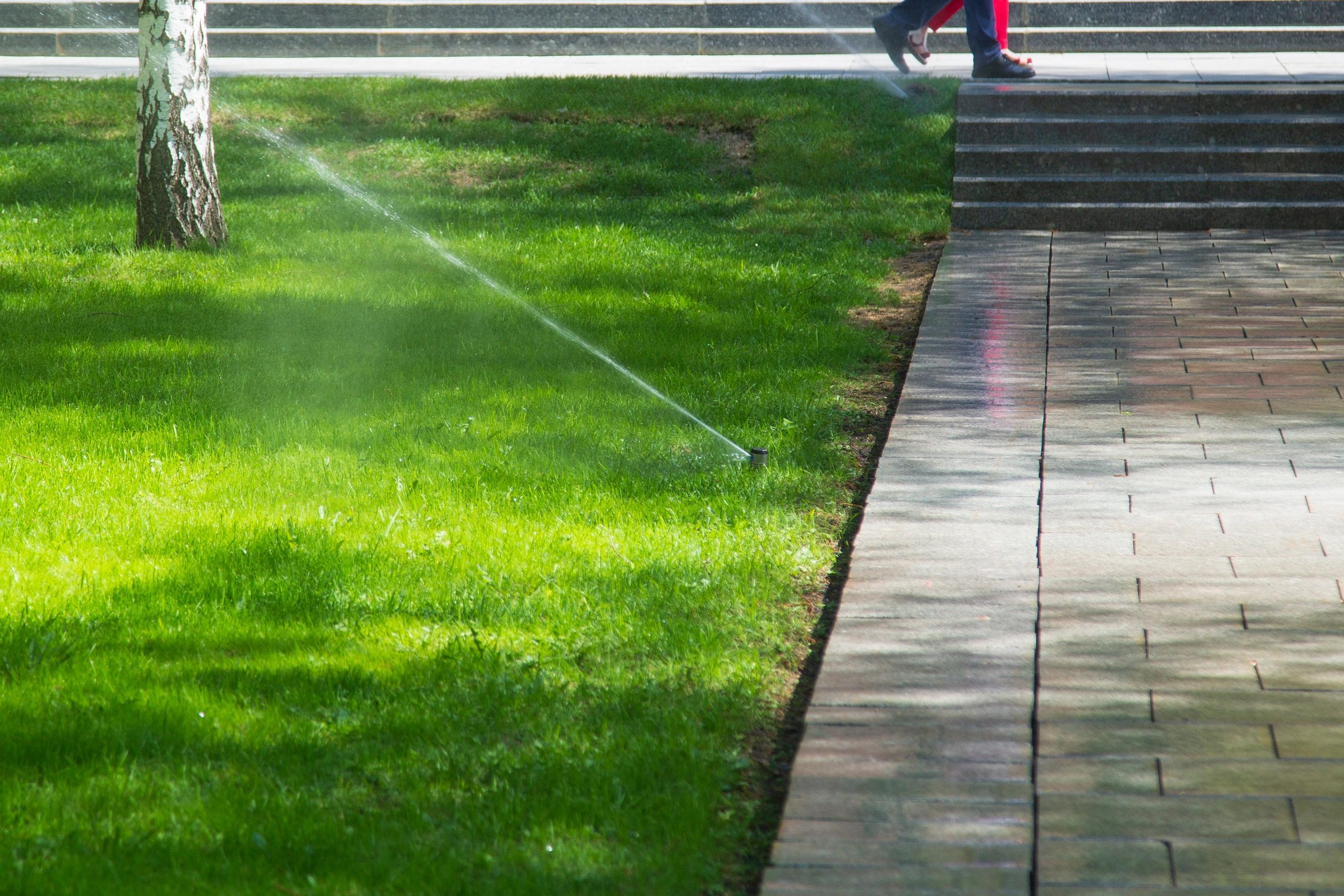 Expert Irrigation Repair Services