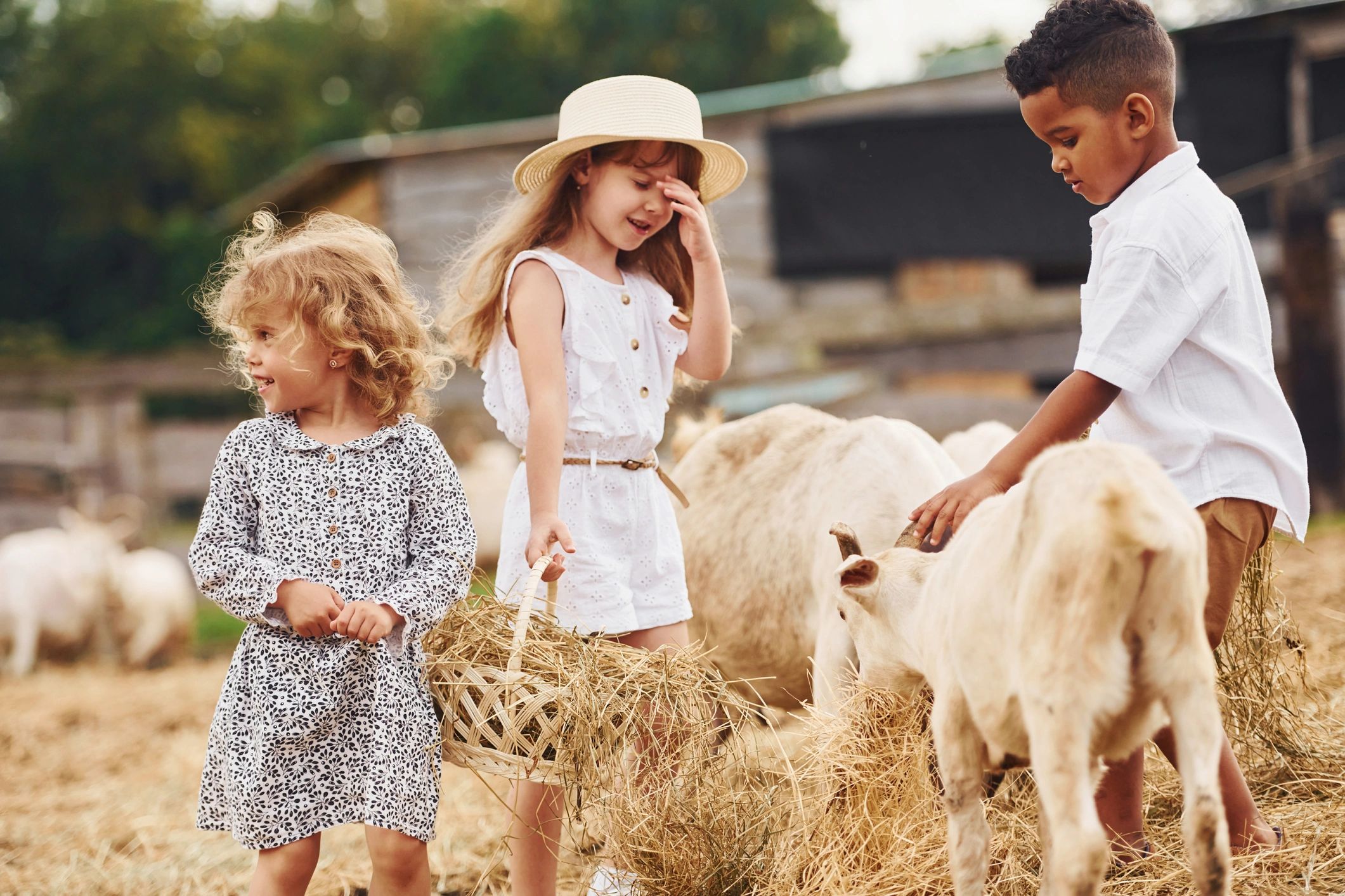 Mobile Petting Zoo for Unforgettable Parties