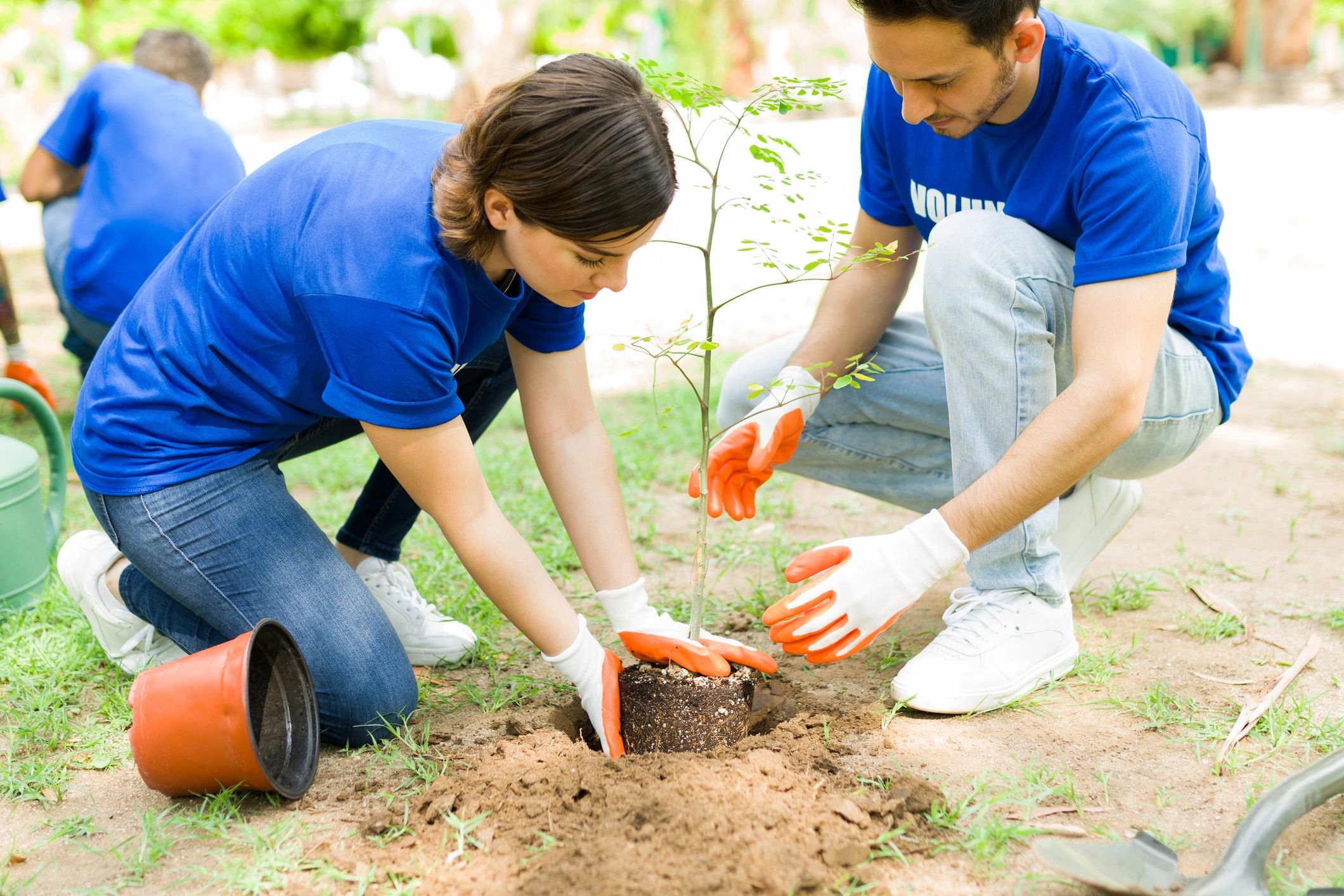 Green Sikka Foundation