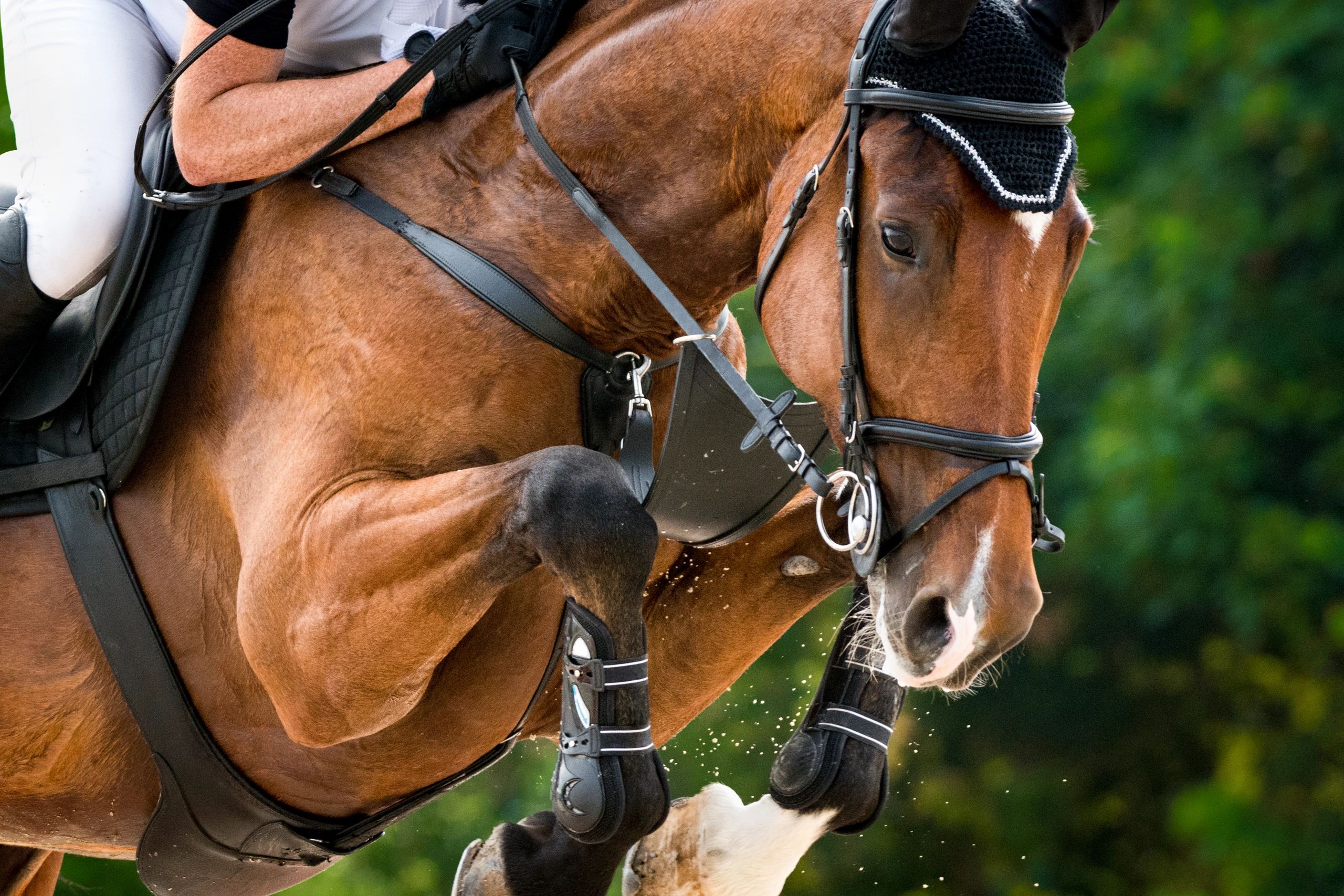 Stable Ground