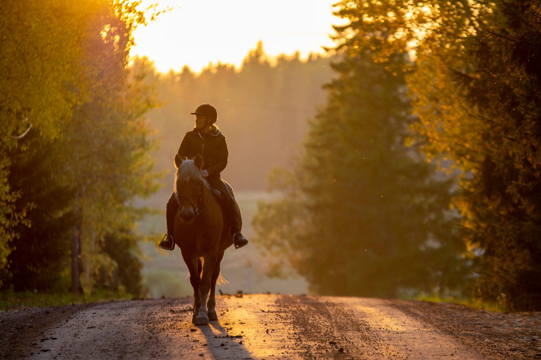 Ride Into The Sunset
