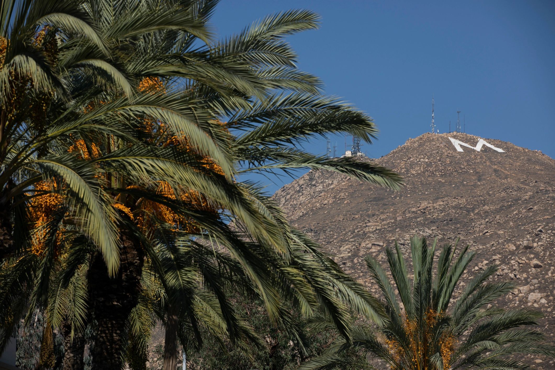 Who We Are | Inland Compassion