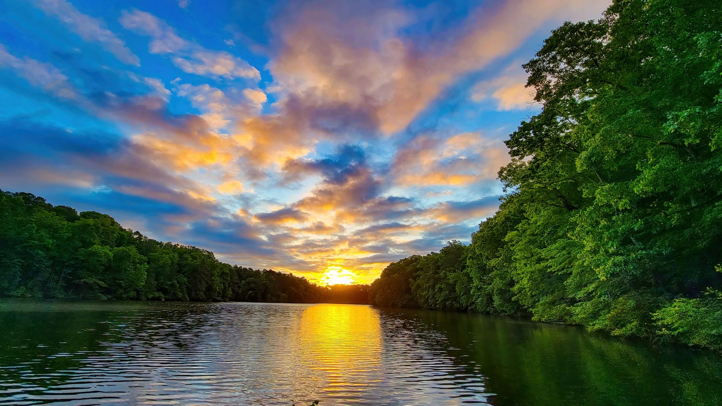 Sunrise Side Rentals