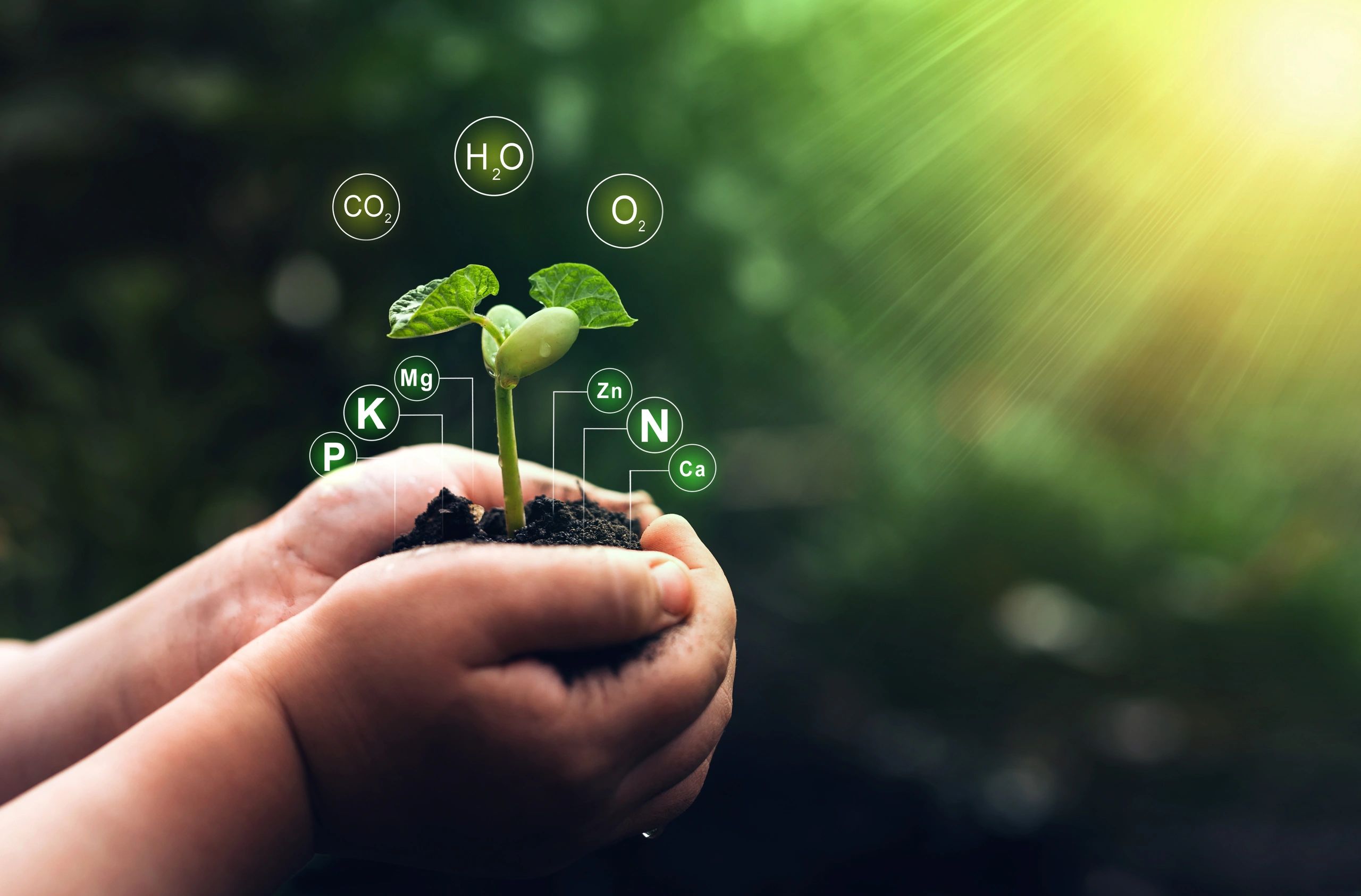 Epsilon Commodity Trading GmbH