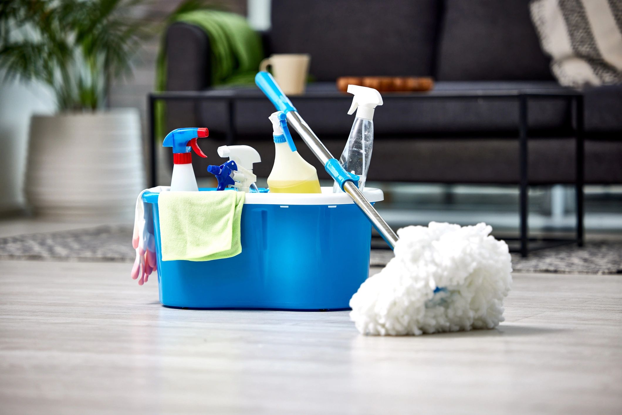 Pleasant Touch Cleaning Services