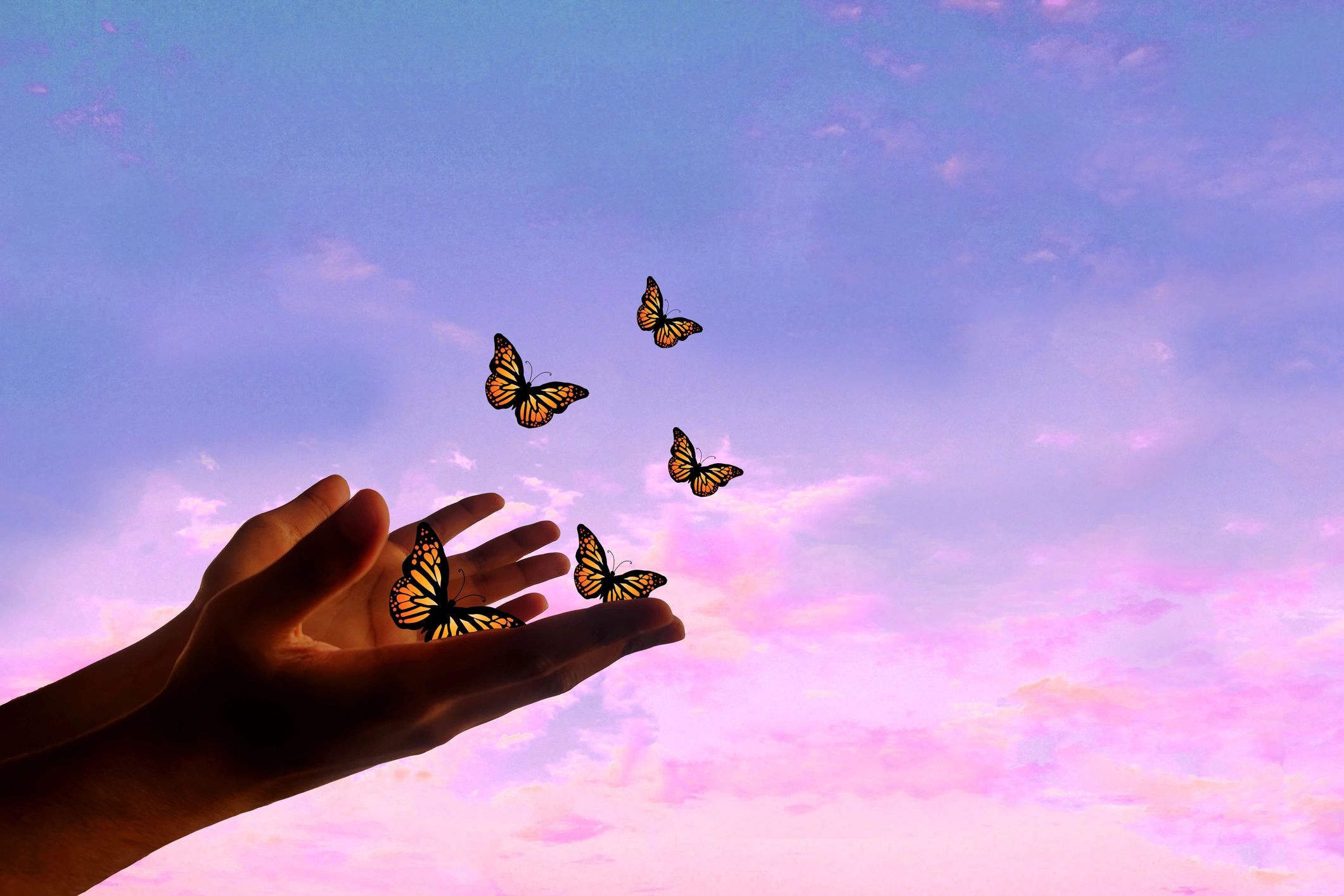 Sacred Butterfly Healings