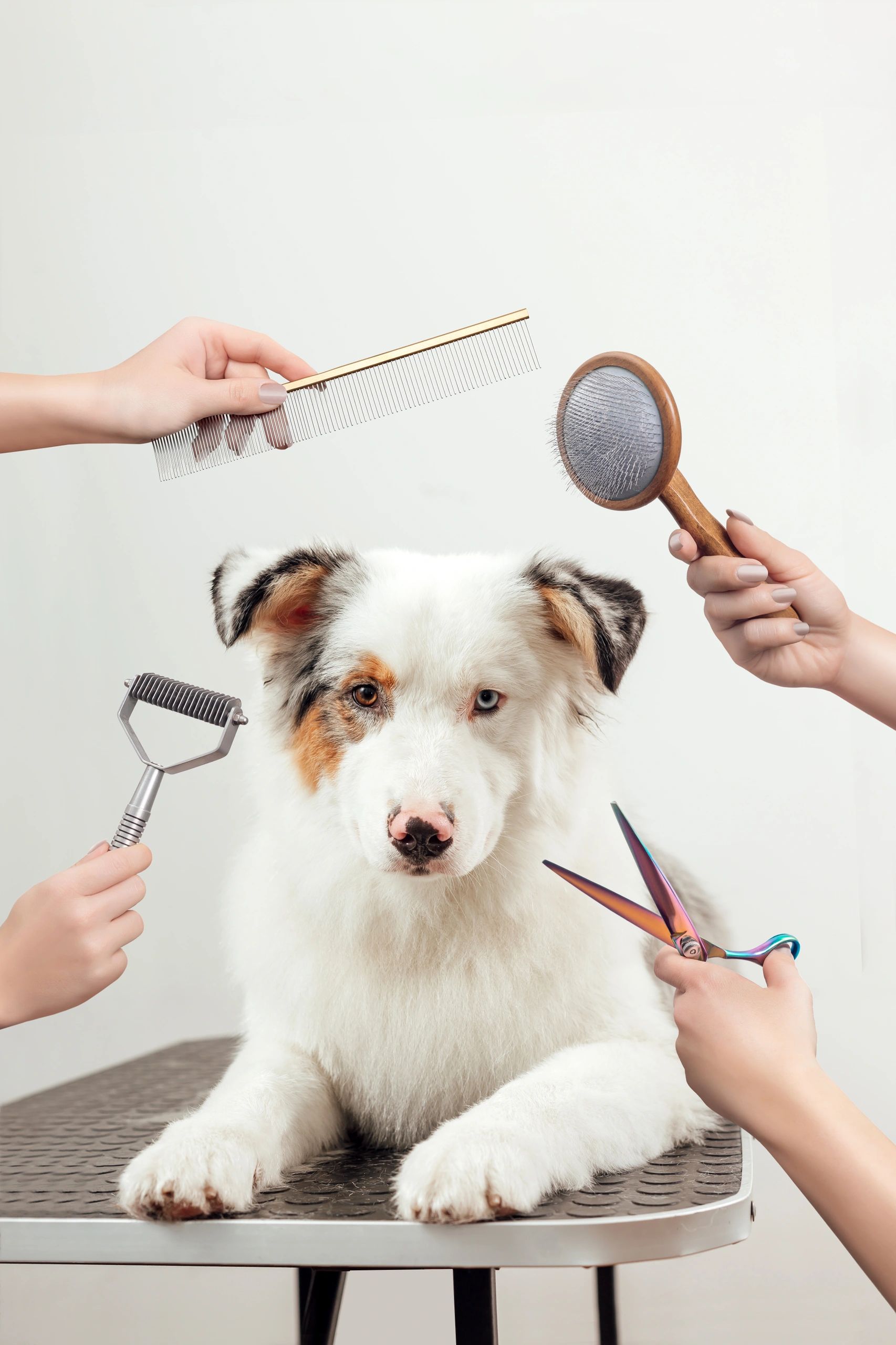 Dog Works Grooming Salon