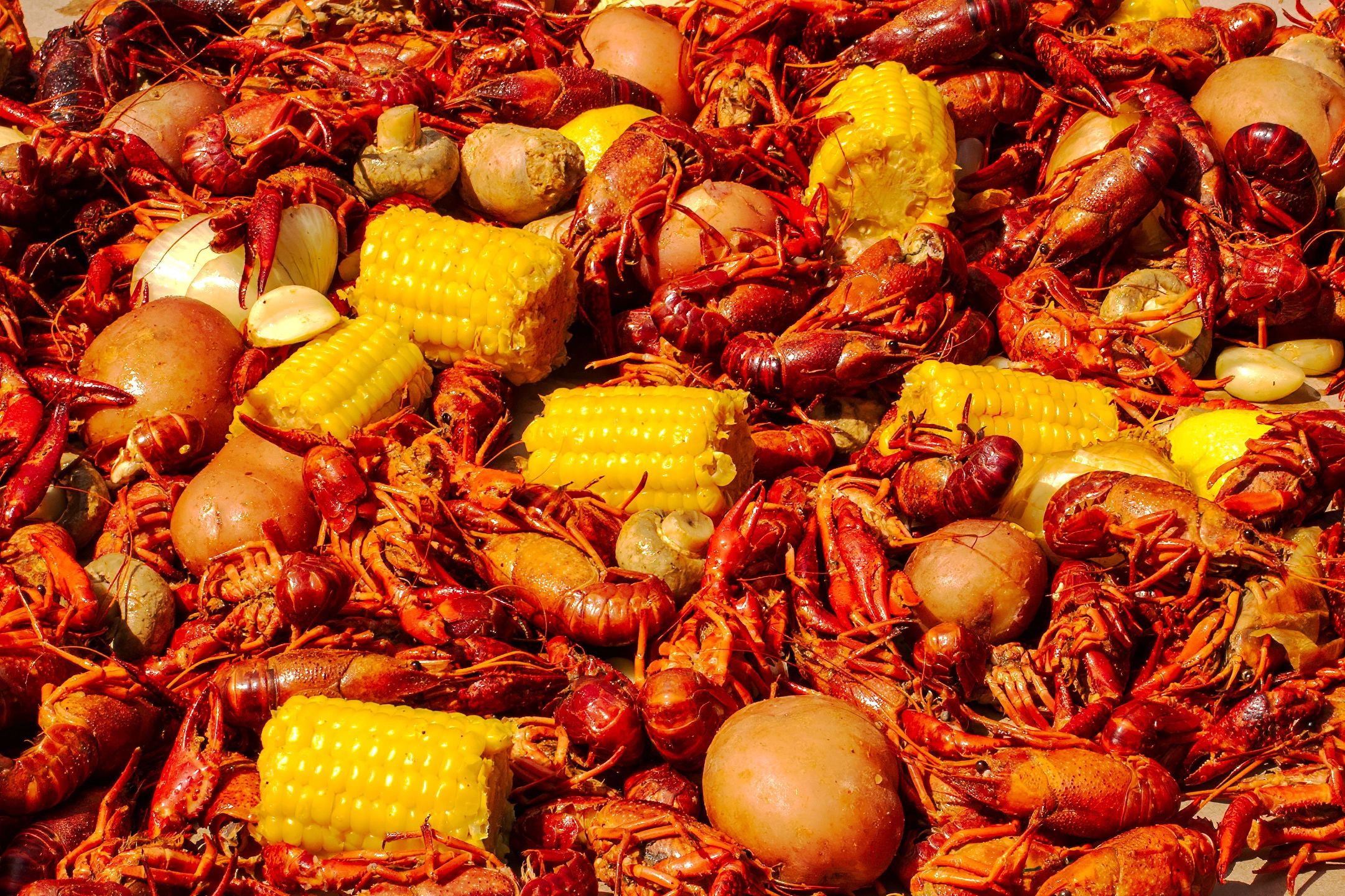 Buy Live Crawfish Fresh from Bayou Crawfish Co