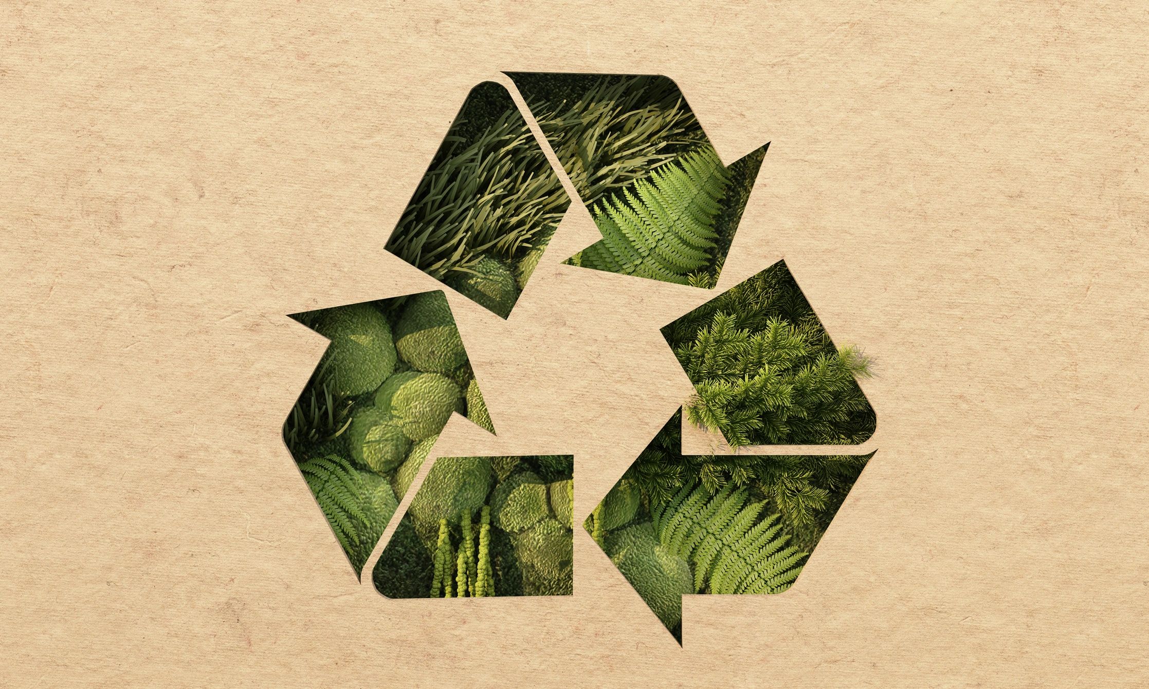 Green & Gold Waste Solution