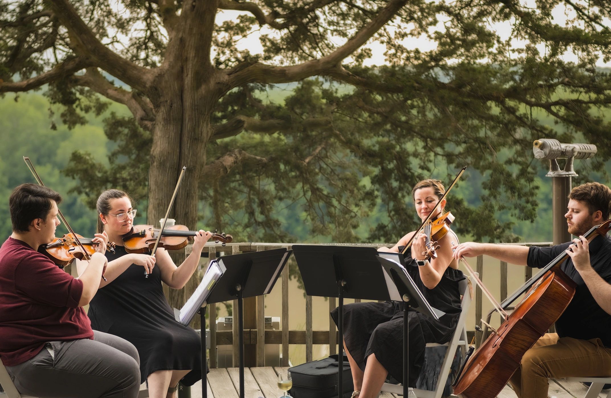 Hire A String Quartet for Your Perfect Wedding