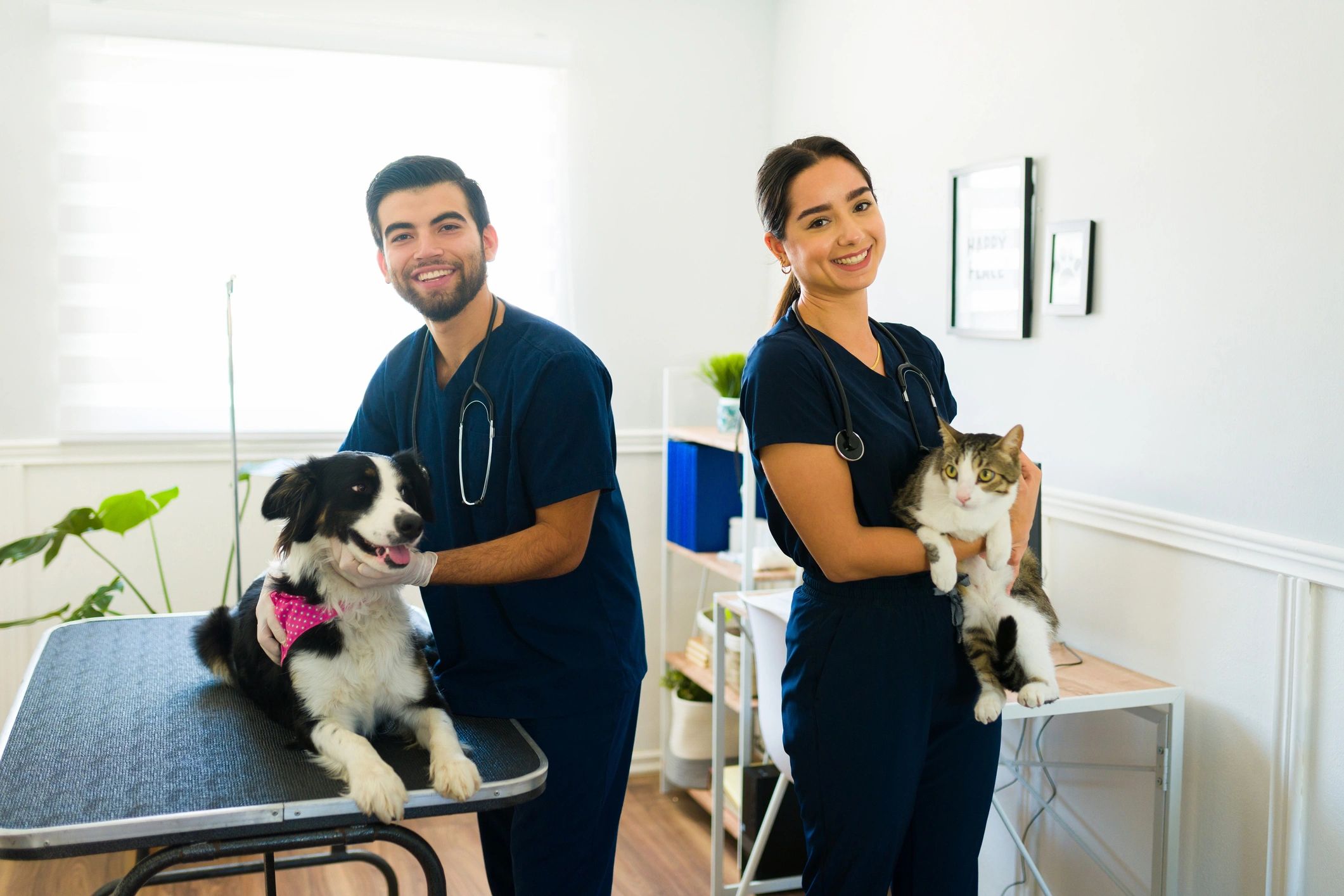 Veterinary Pet Centers