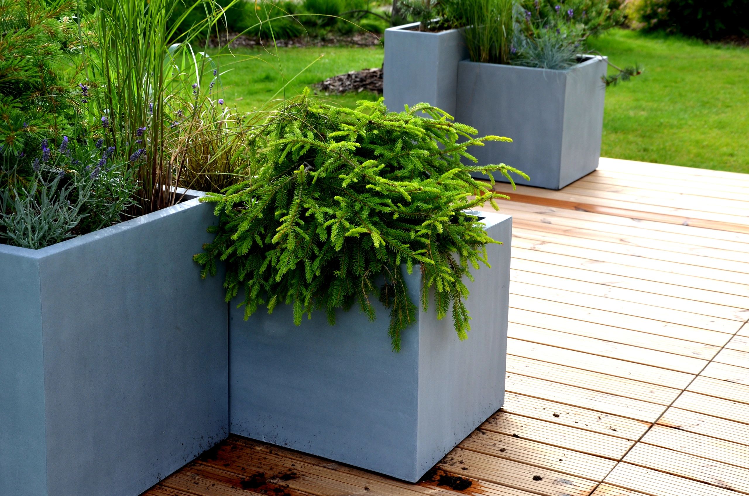 SoCal Planters