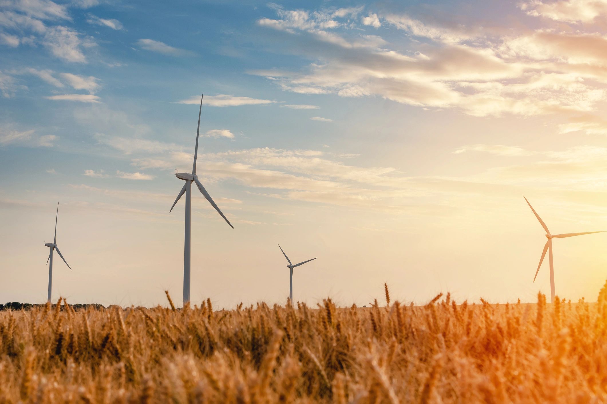 Wind Access Solution