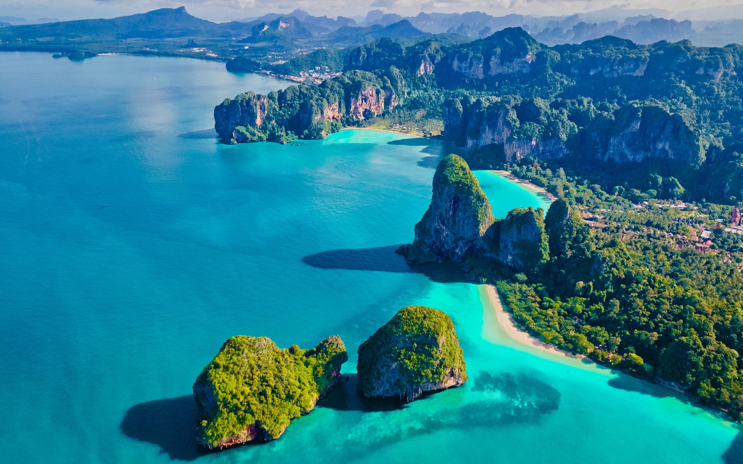 Andaman Bay Leaf