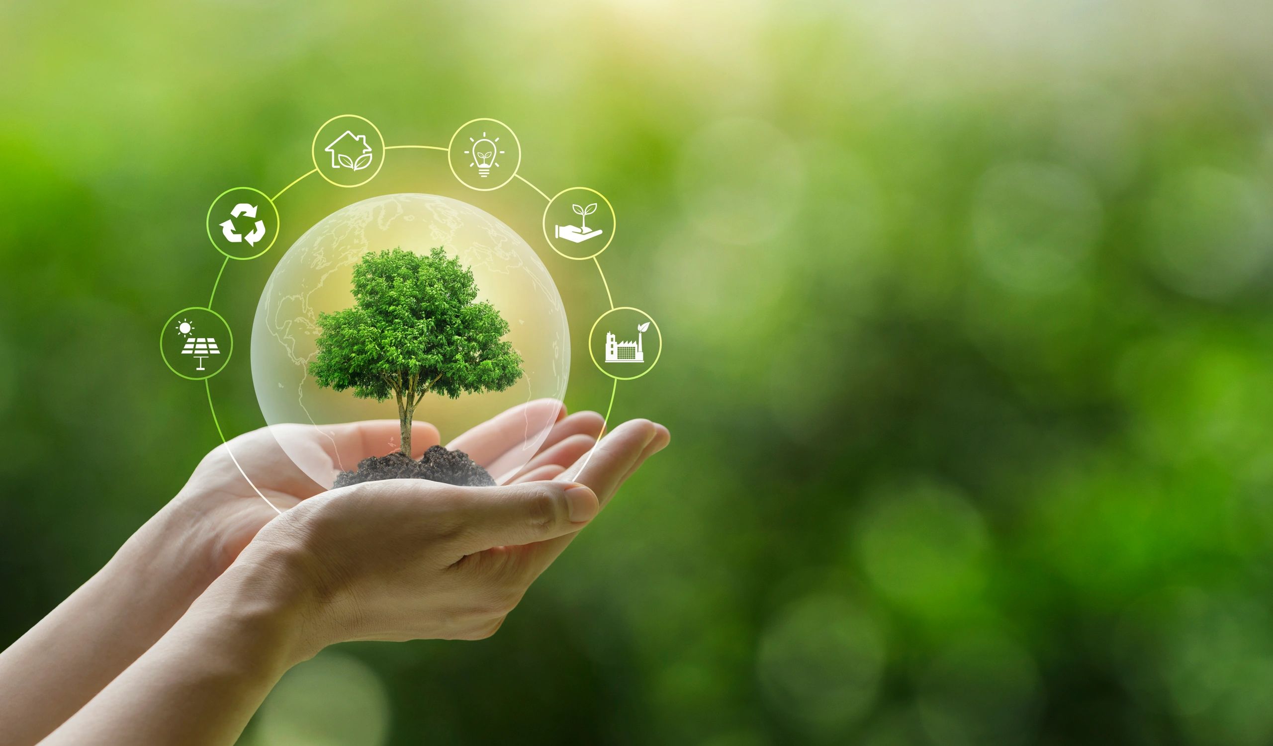 Eco Vibe Services