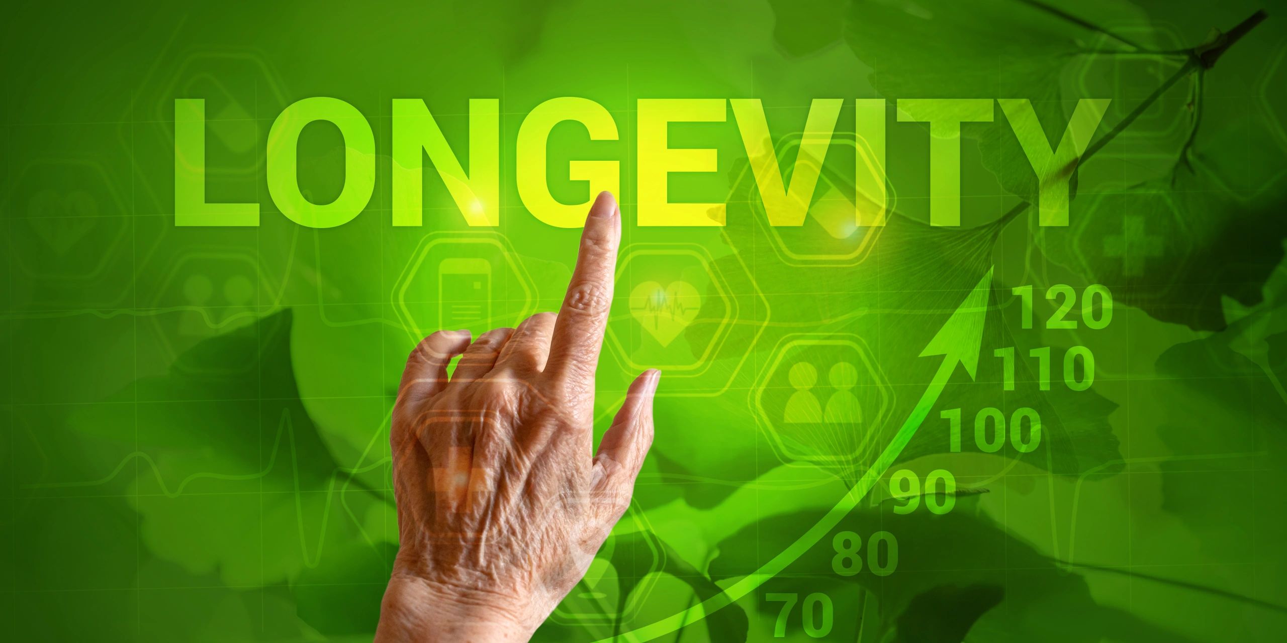 Evergreen Longevity & Functional Medicine