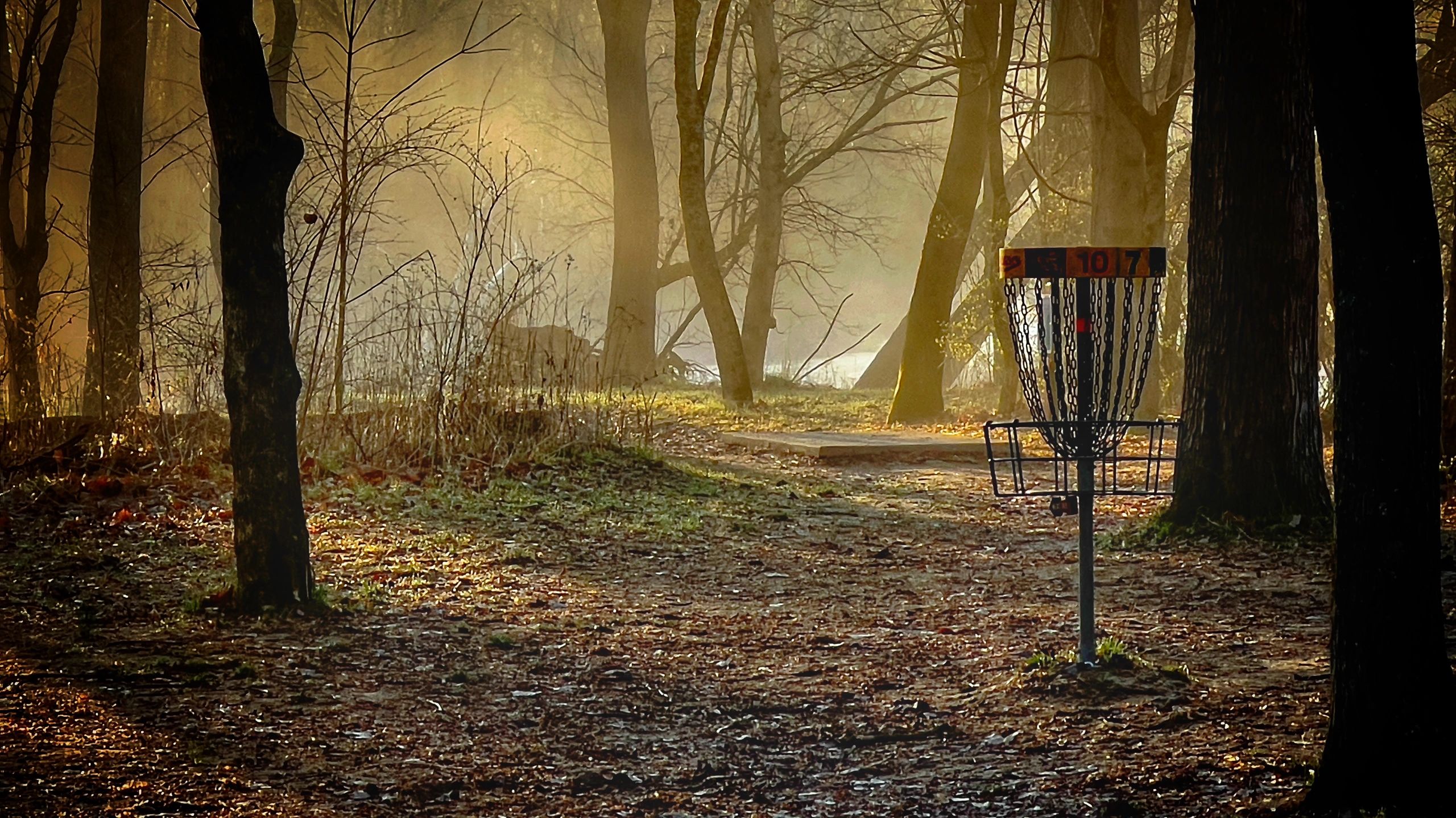 Top Quality Disc golf gear for Every Player
